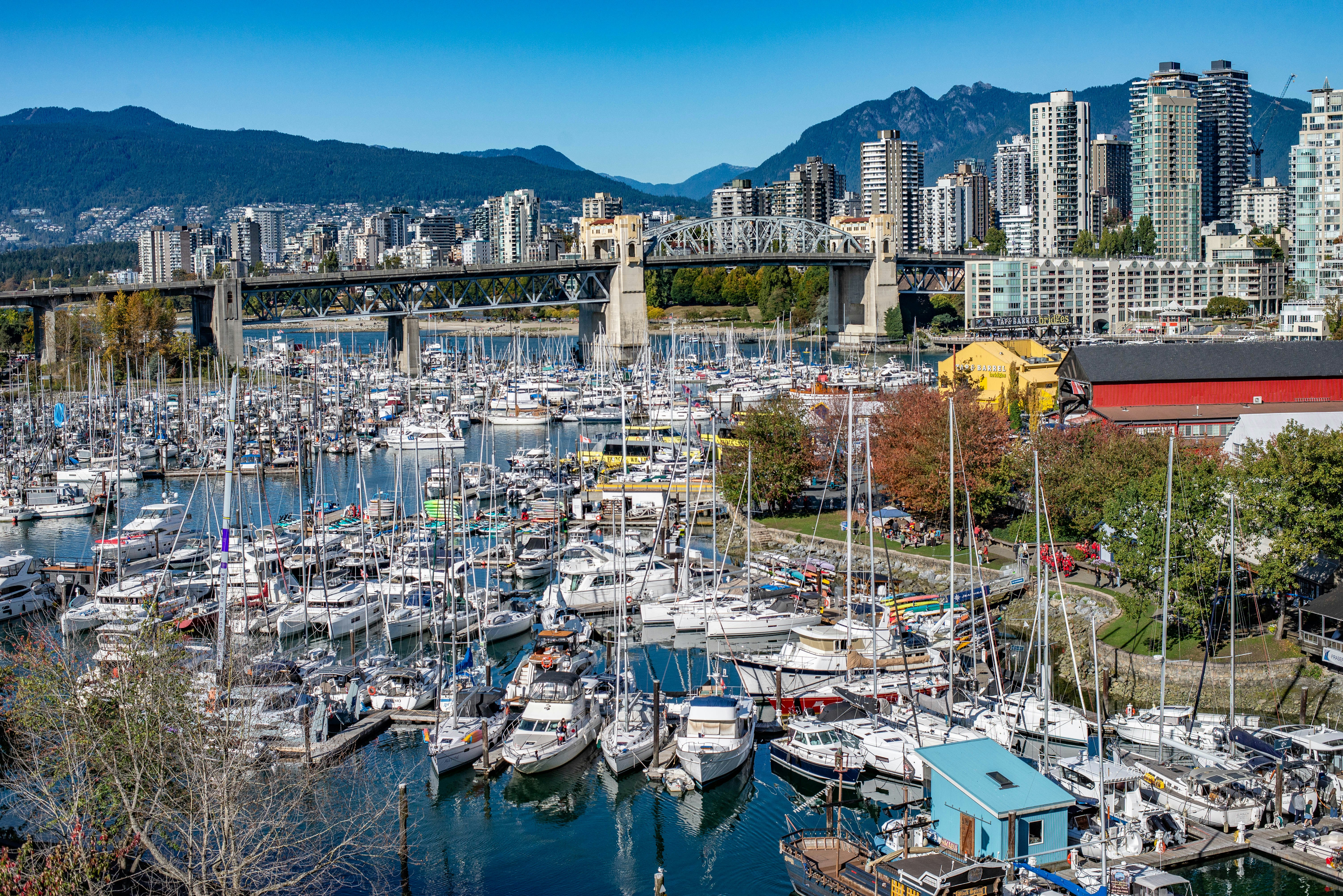 Harbor of Lines: Boats, Bridge, and Cityscape