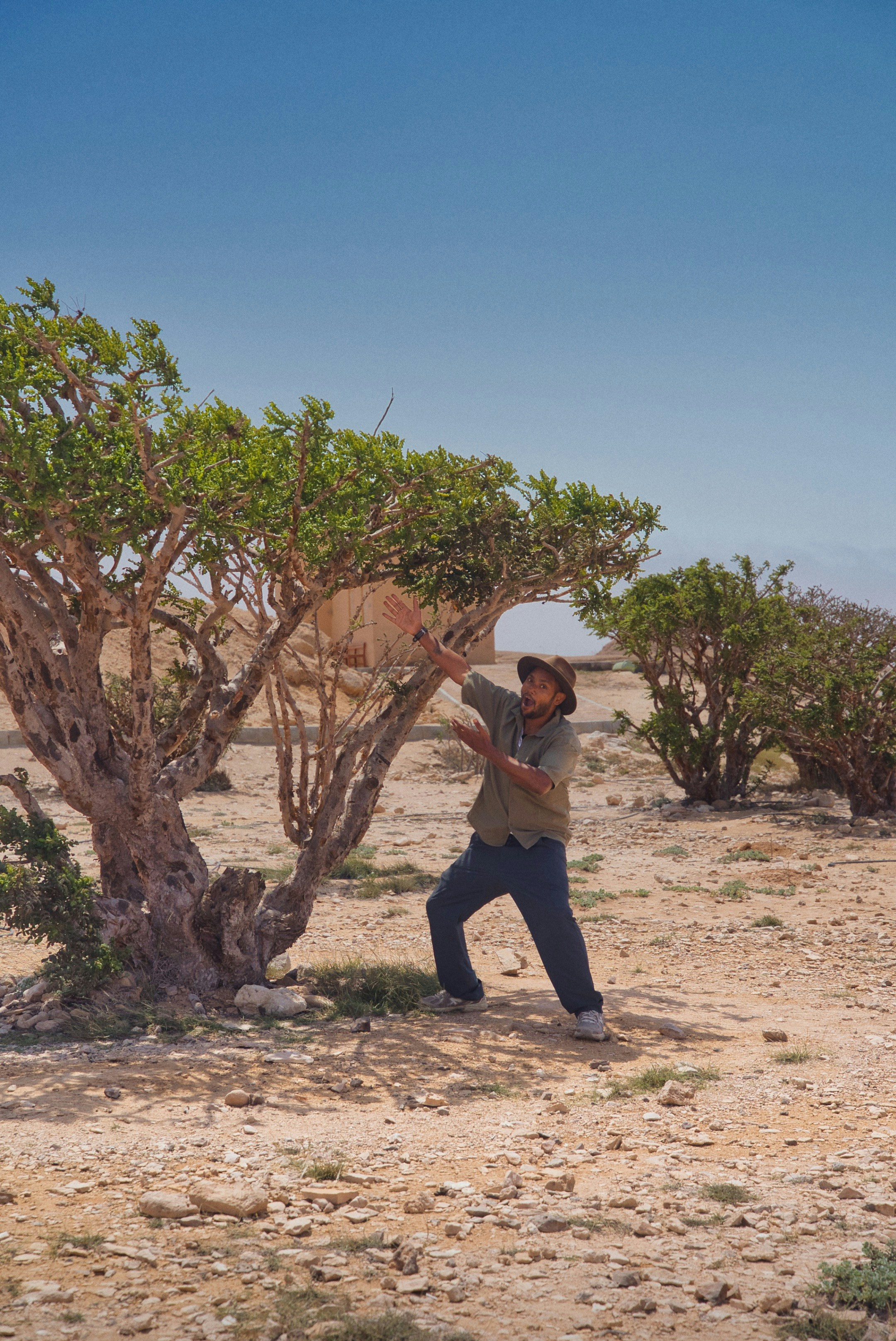 Man in hat gestures toward a gnarled tree in a sunlit desert landscape; the scene captures movement and character amid sparse vegetation. The image appears to be a candid outdoor photograph.