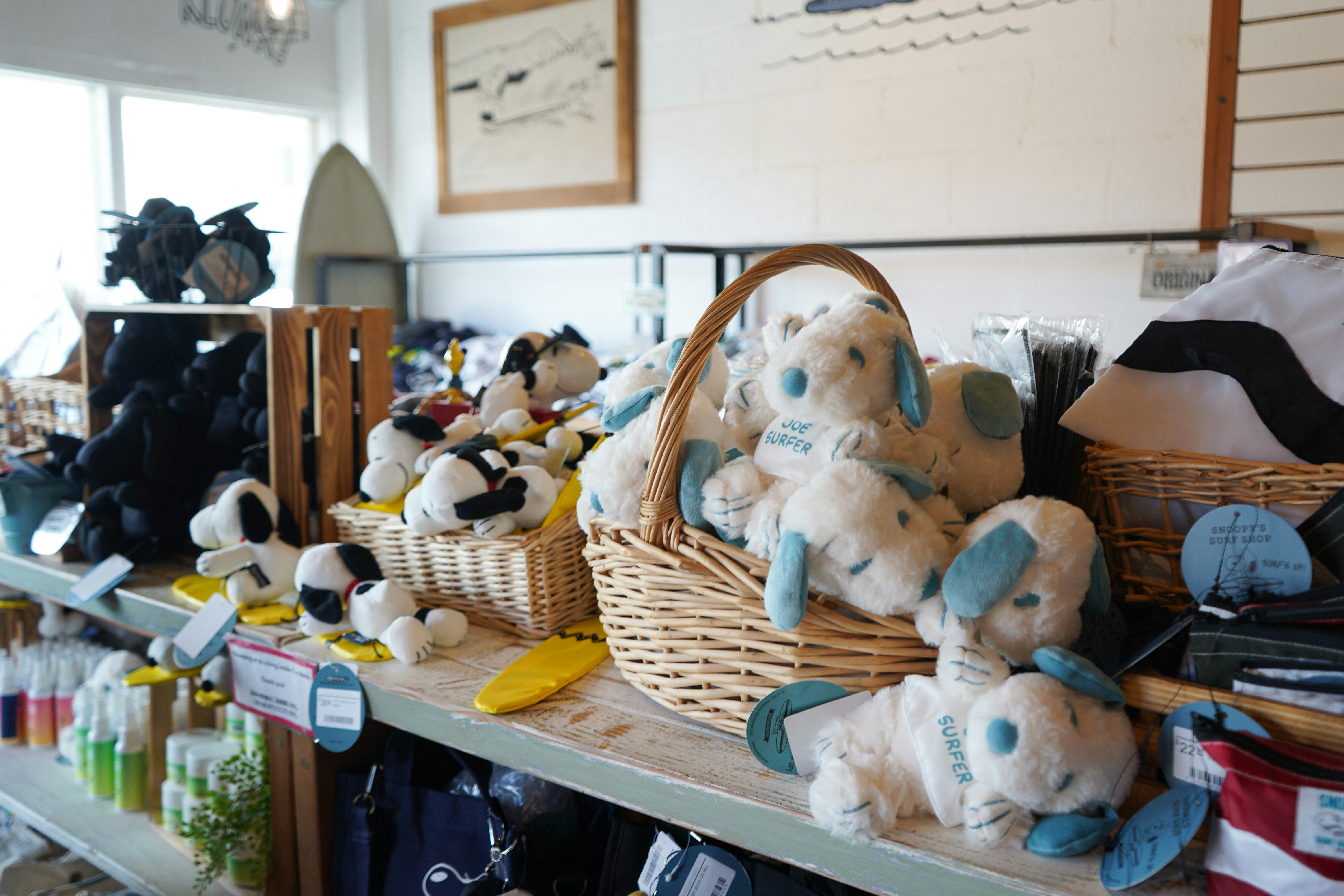 Snoopy Surfing Plush Toys Displayed at Souvenir Shop in Hawaii