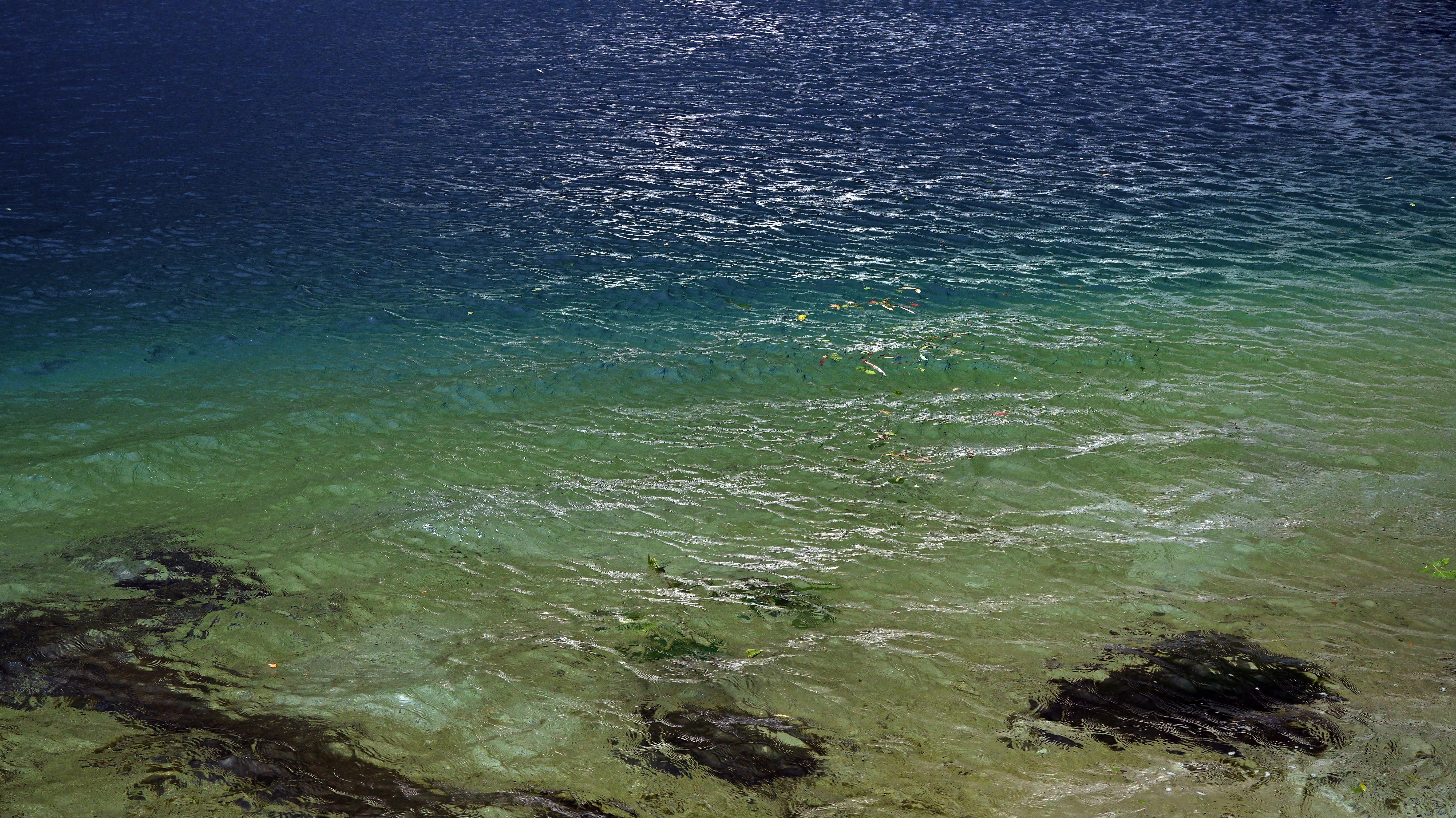 Emerald Waters Lapping the Shallow Rocks
