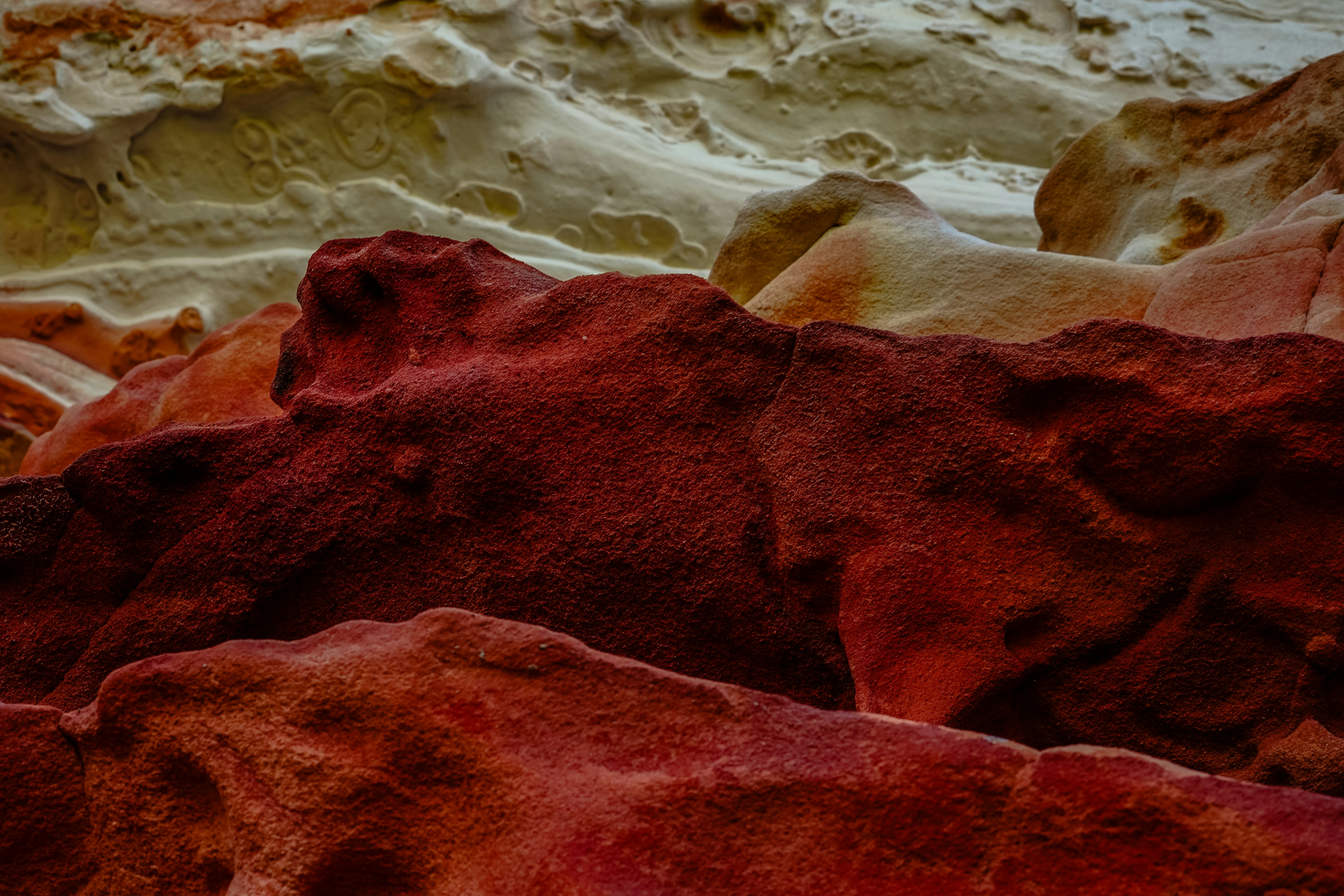 Crimson Tides on Weathered Stone