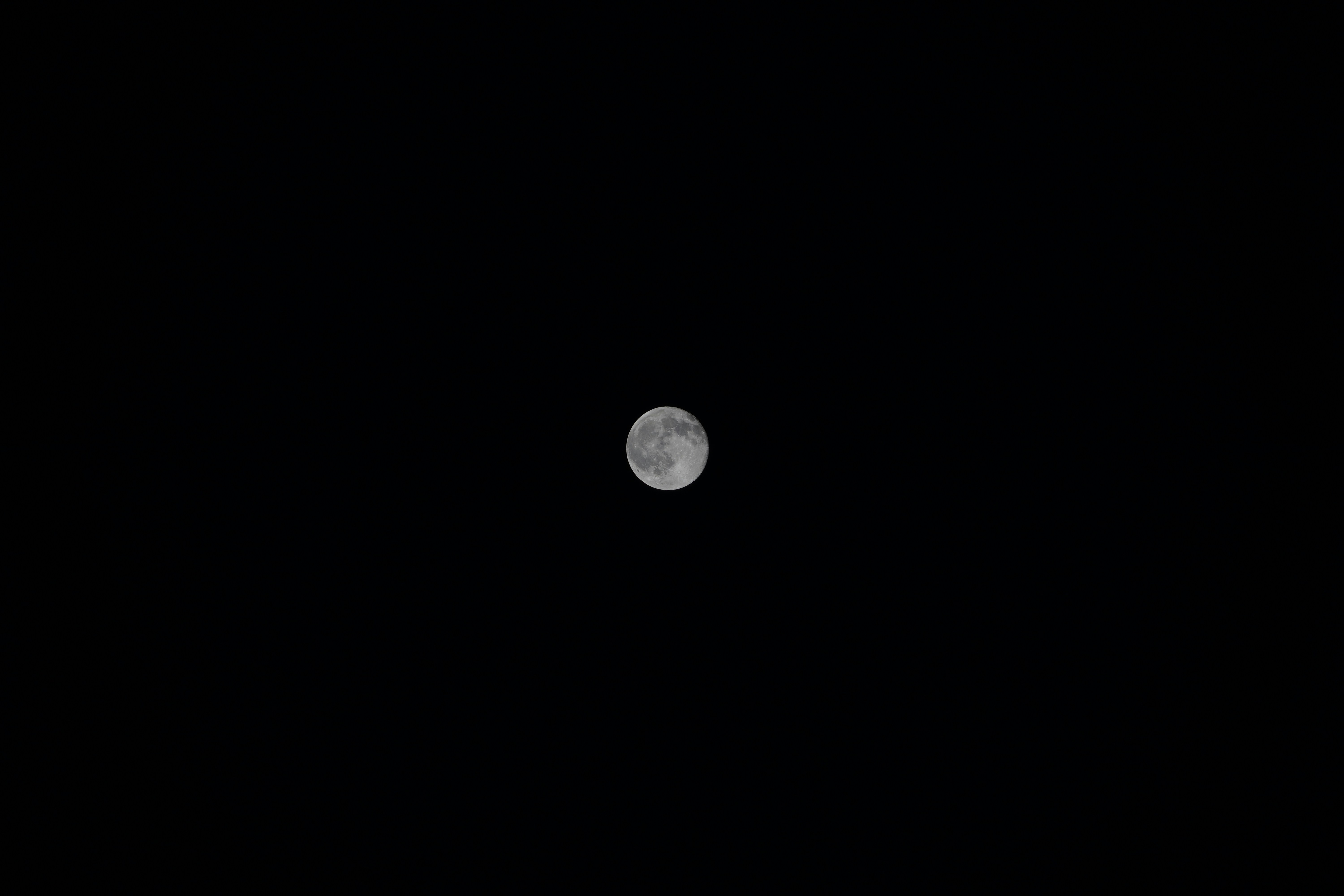 Bright gibbous moon centered against a dark sky, isolated with subtle surface texture visible. A minimal celestial scene suitable for night photography studies.