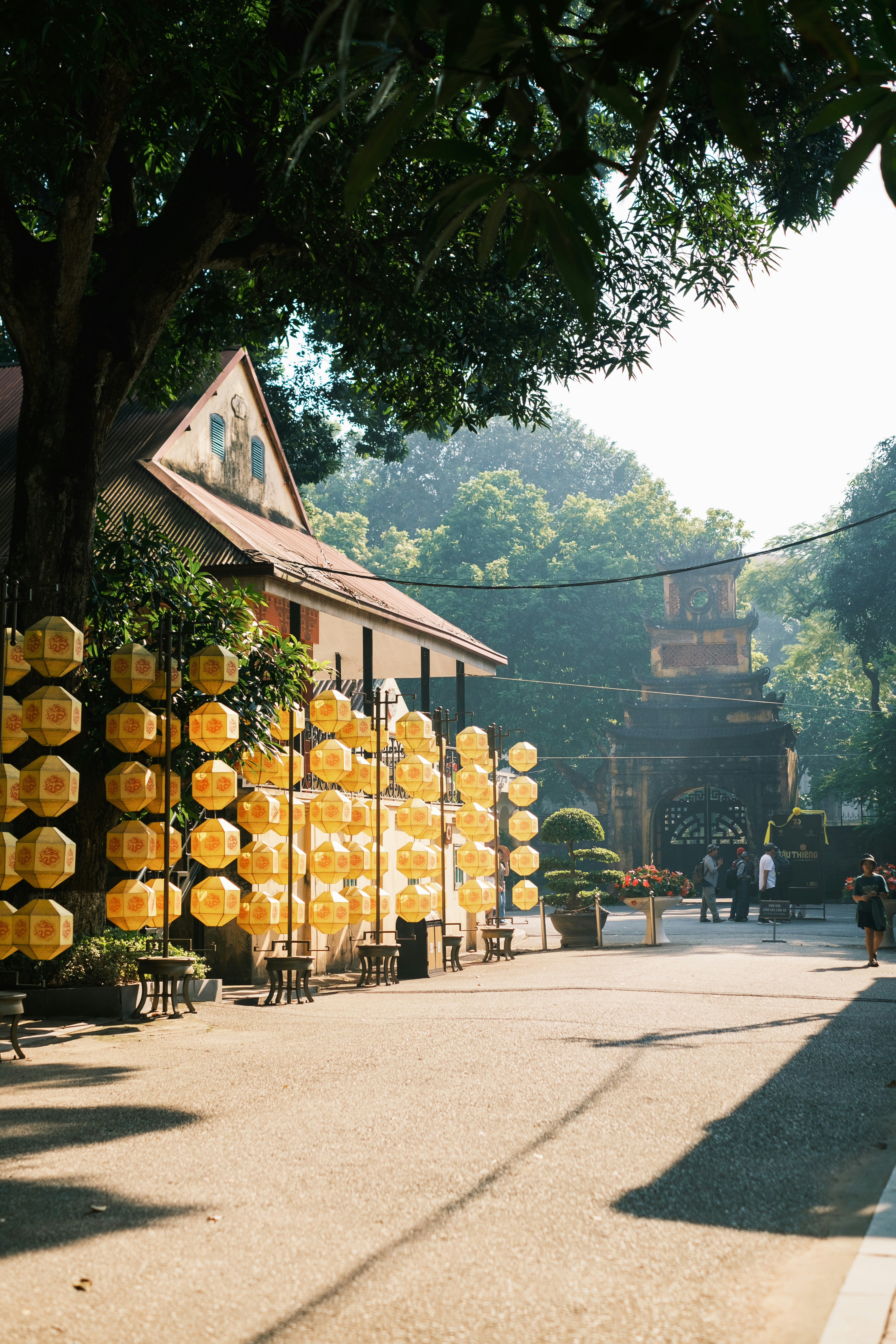 Golden Lantern Row Meets Quiet Shrine Path