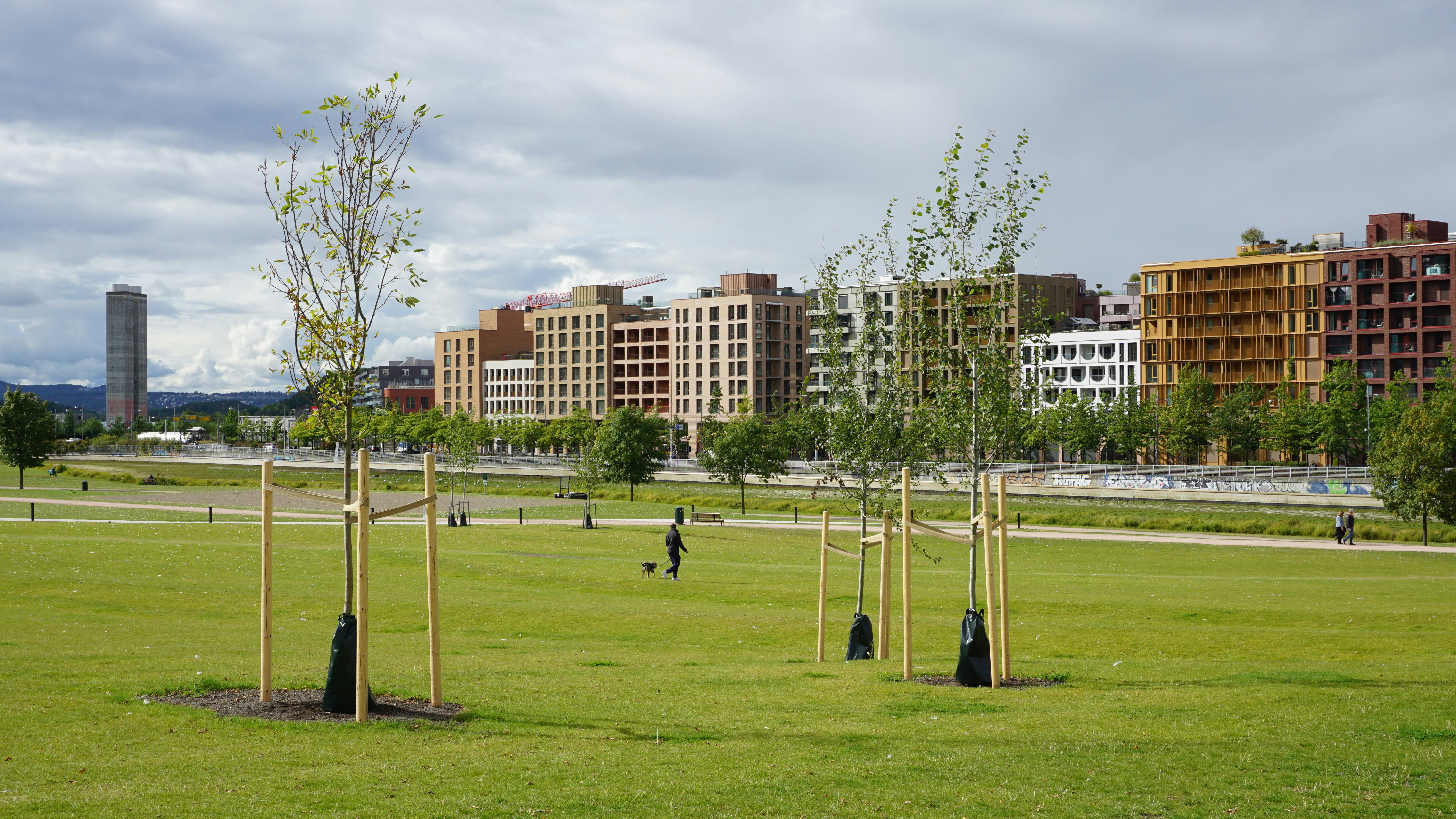 Urban Park in Front of Modern Residential Complex