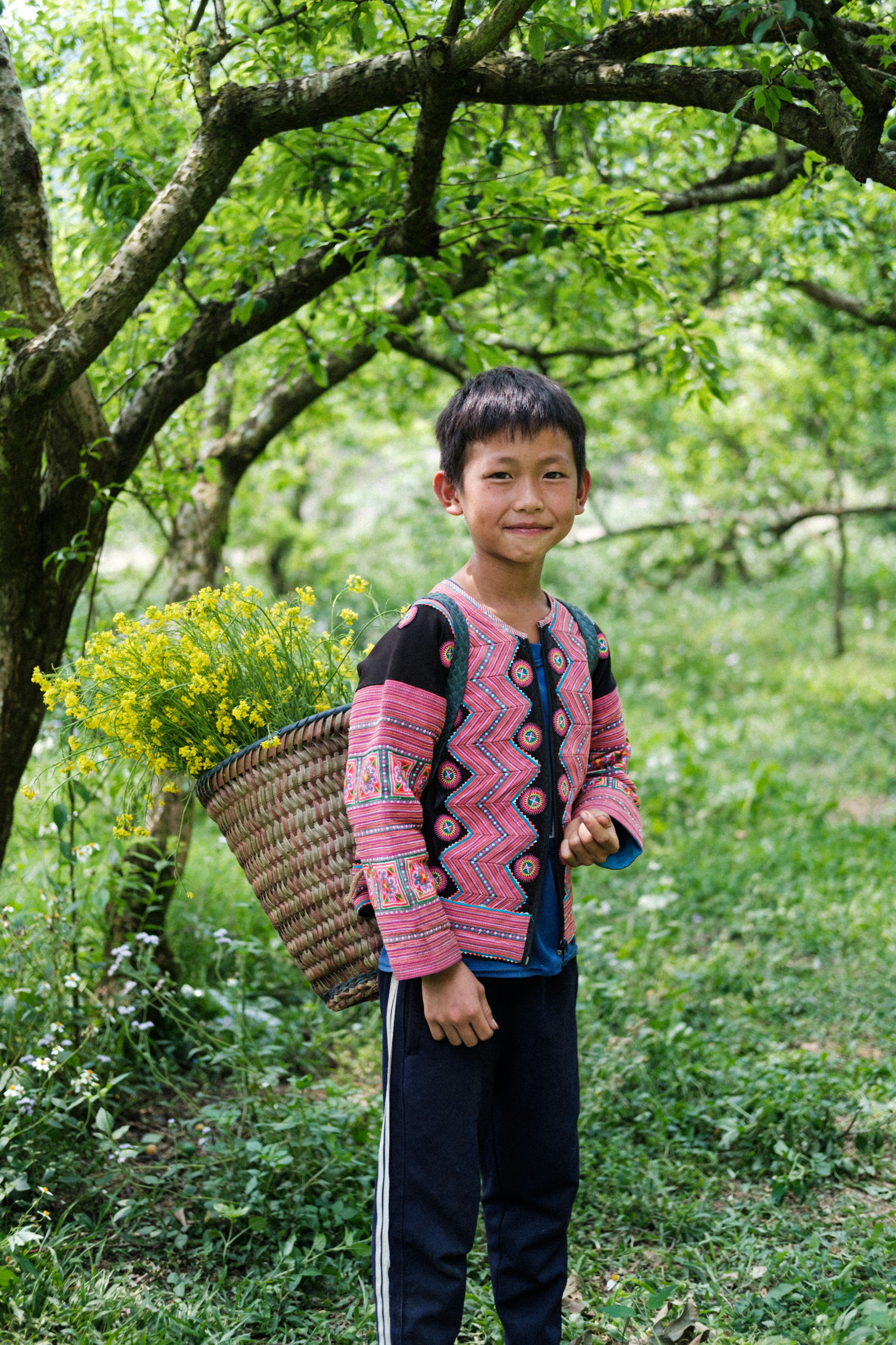 A Quiet Orchard Street: Child with Basket of Yellow Blossoms