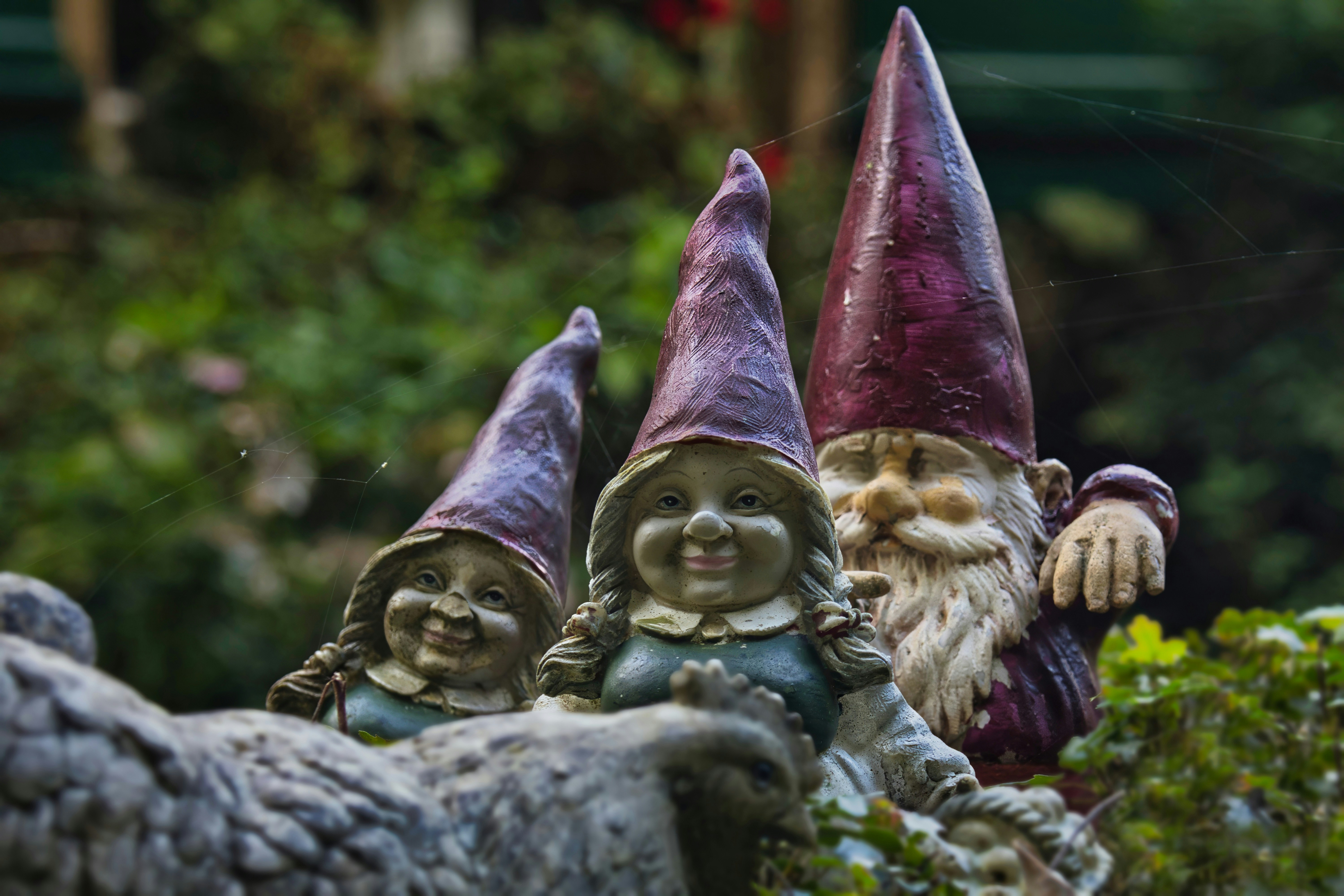 Three garden gnomes guard an ancient stone saurian