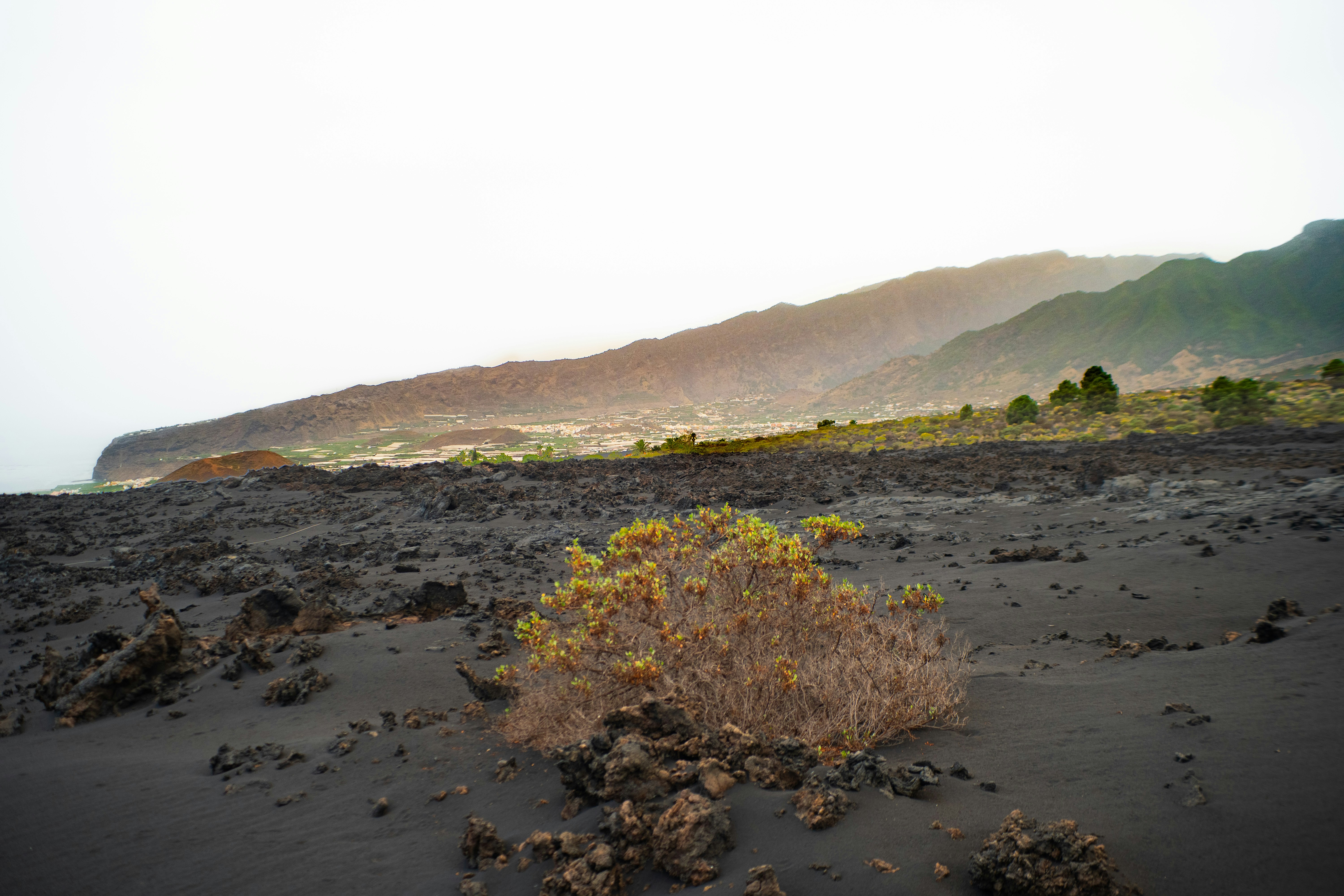 Desertish coastline: volcanic terrain meeting distant green slopes