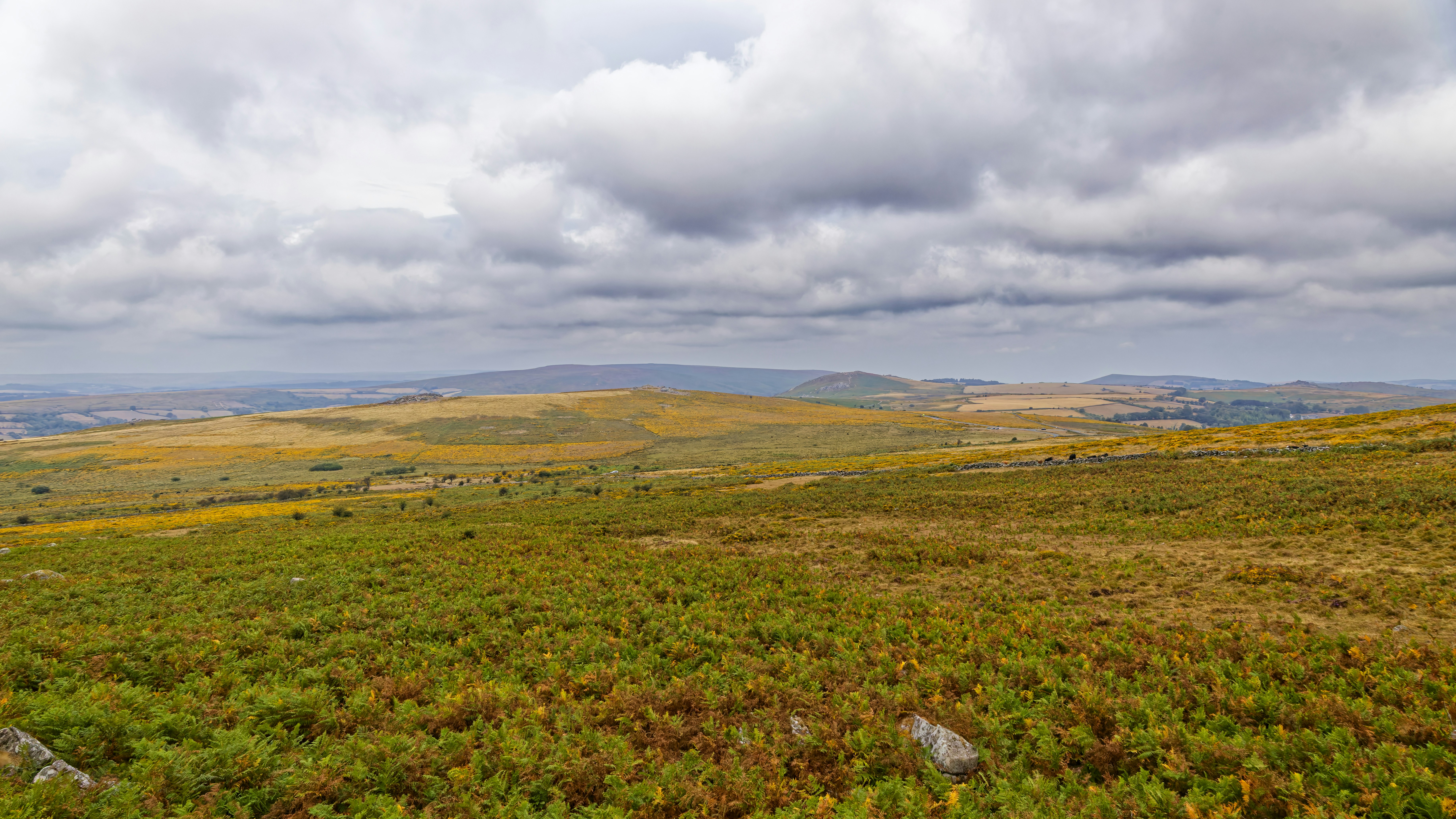 Golden Moor under a Cloudy Dome