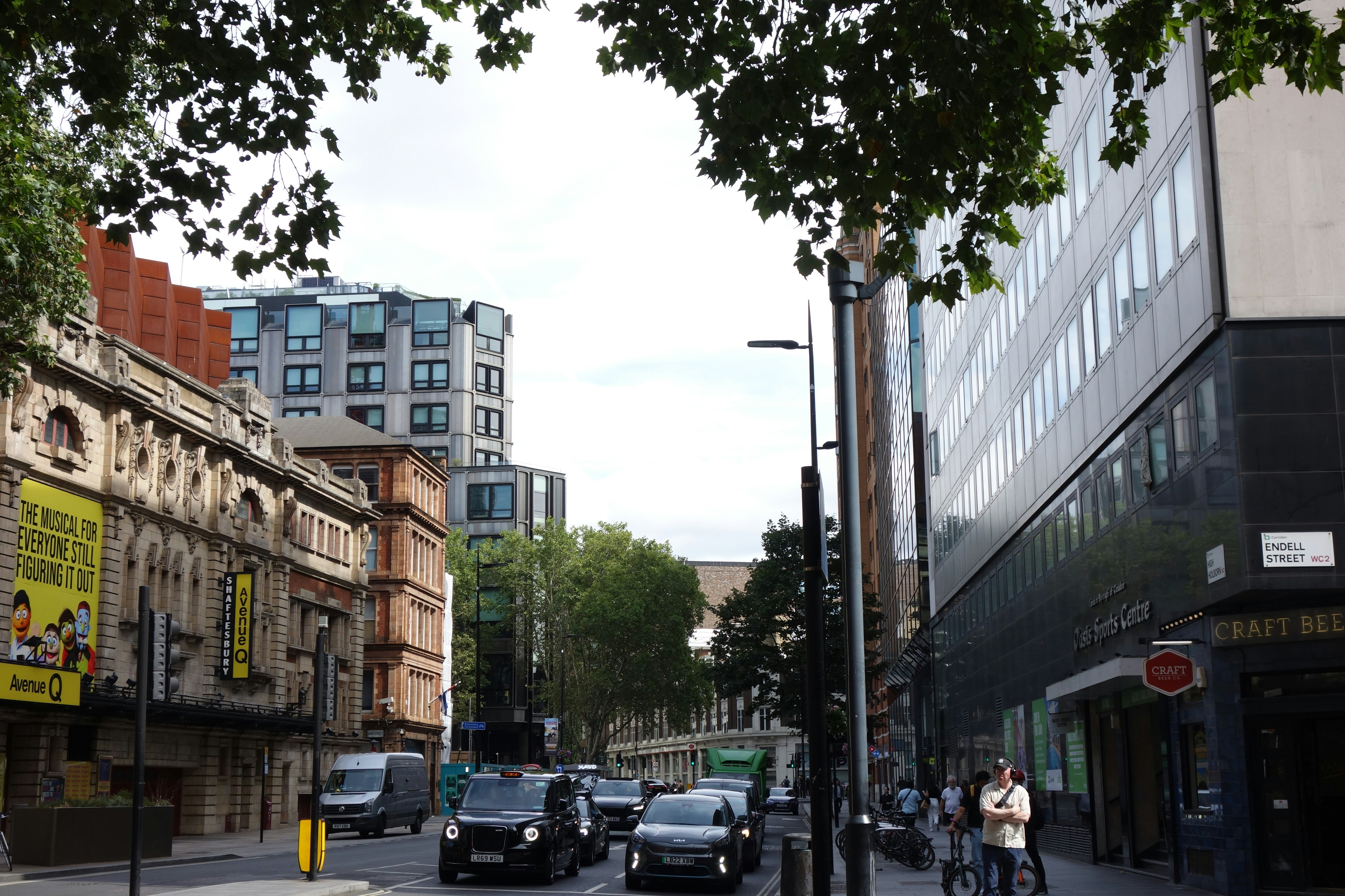 City Street Confluence: A Quiet Moment Under Green Canopies
