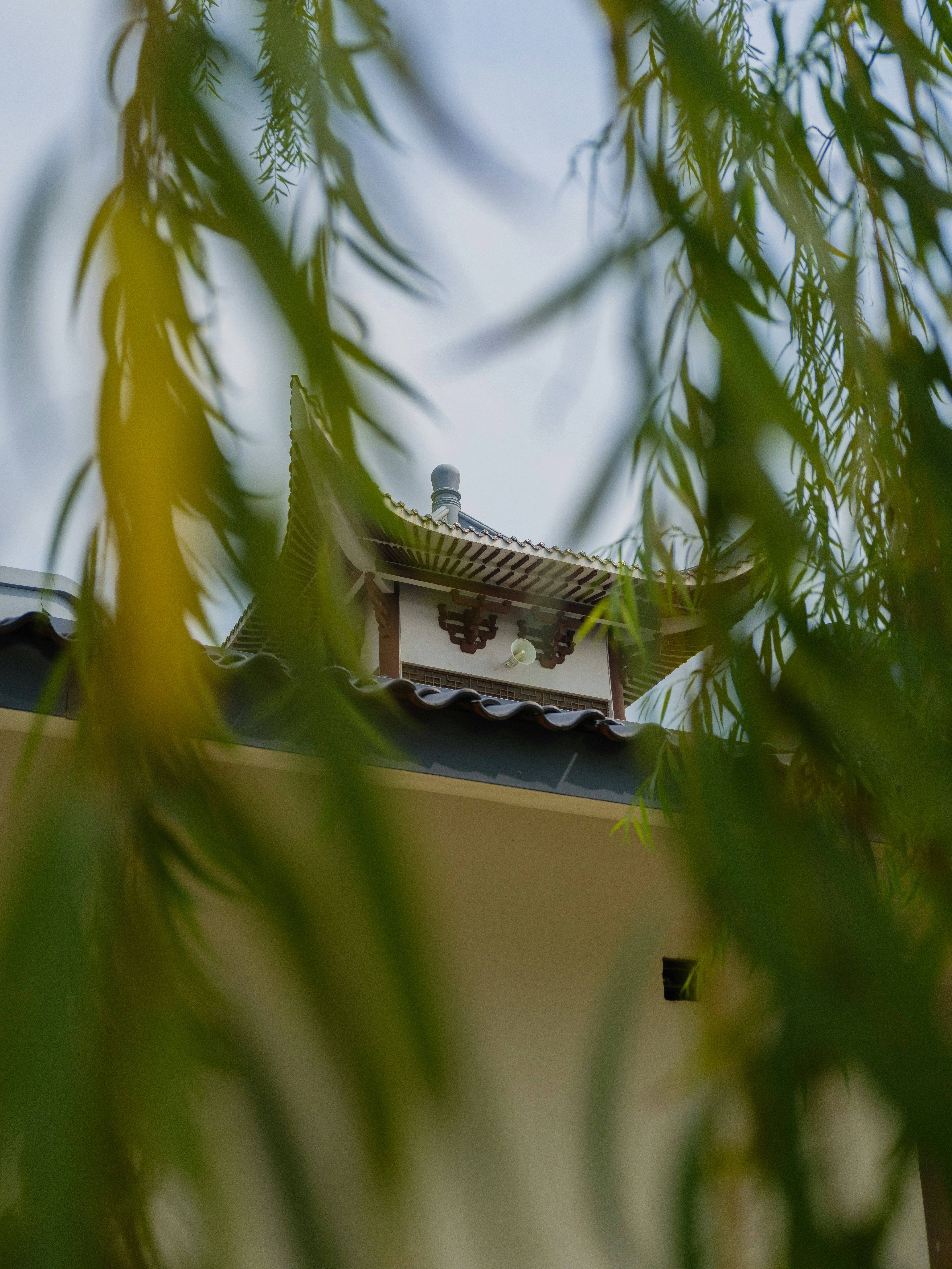 Hidden Shrine: A Roofline Peeking Through Willow Fronds