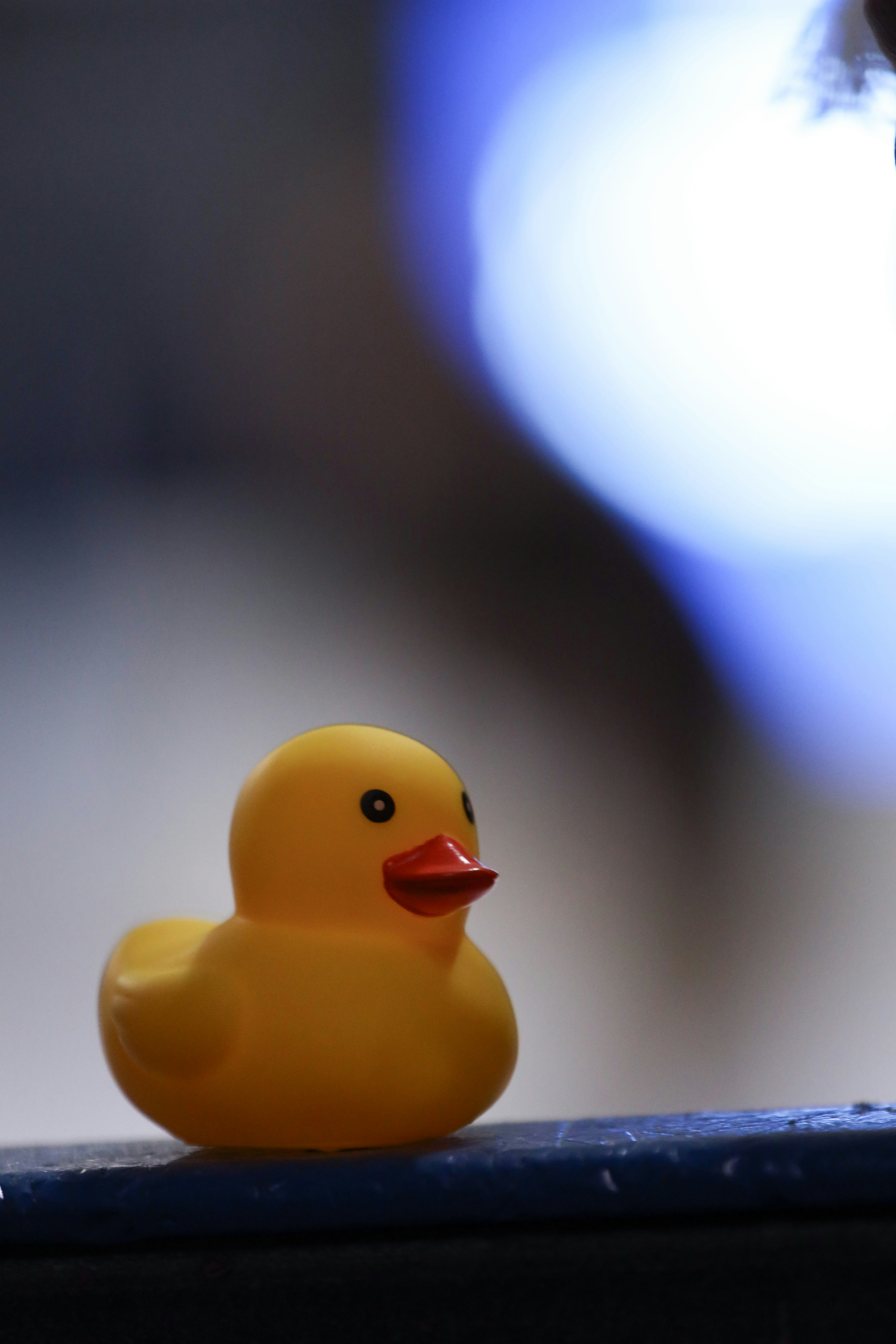 Rubber Duck on the Edge: Focused Moment with Blue Glow