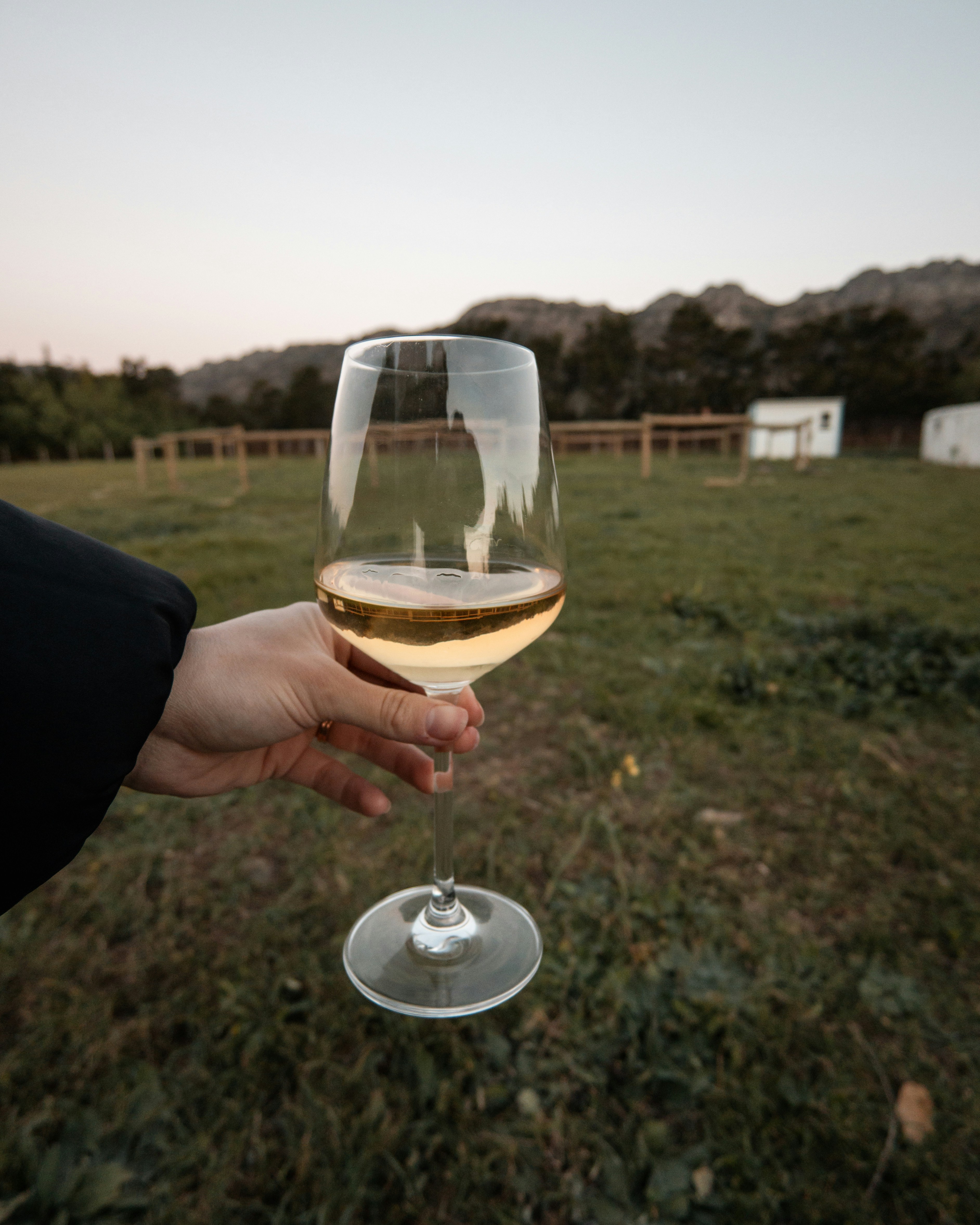 Wine Glass in Focus: A Pastoral Toast Against Rolling Hills