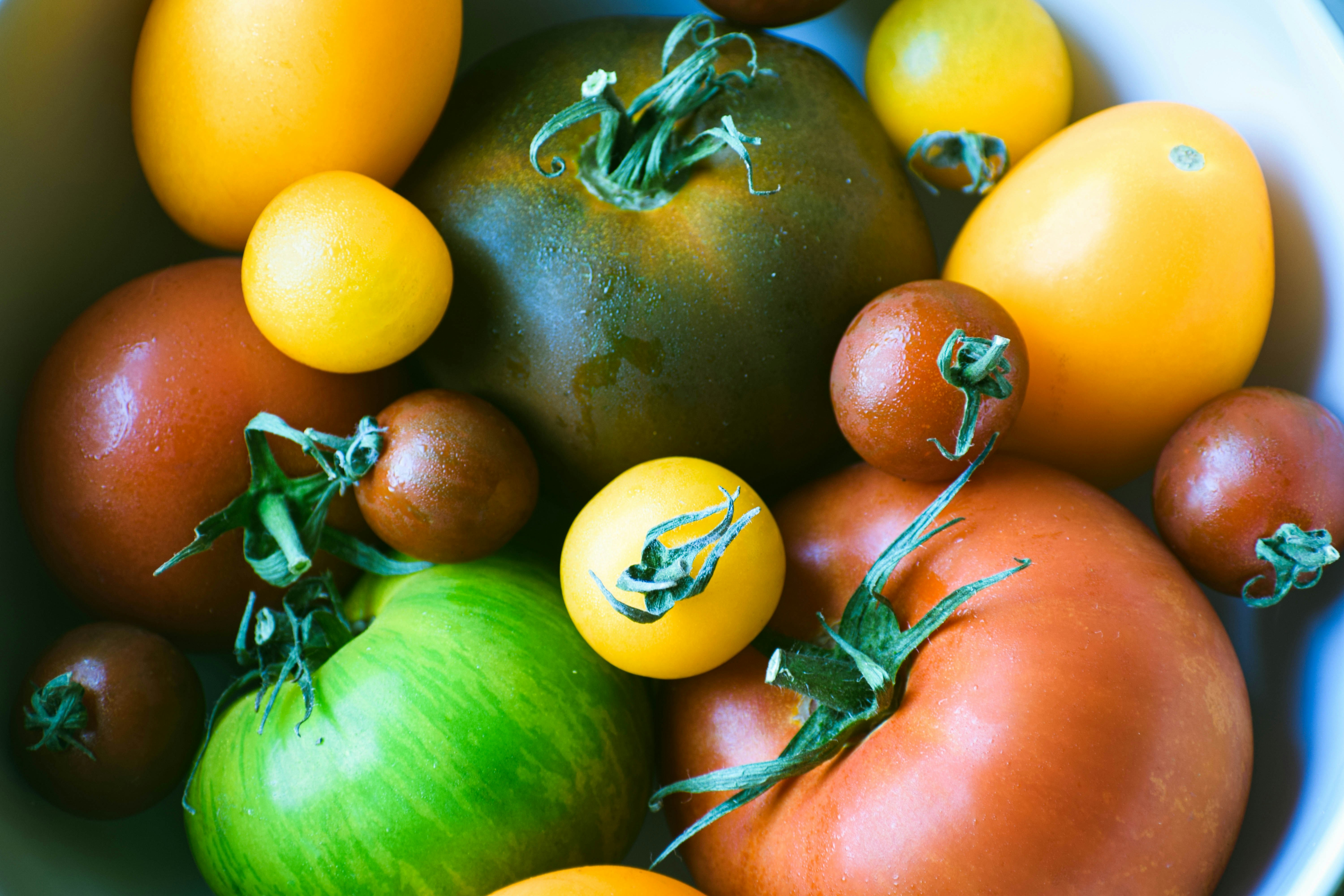 Sunlit Harvest: A Bowl of Colorful Heirloom Tomatoes