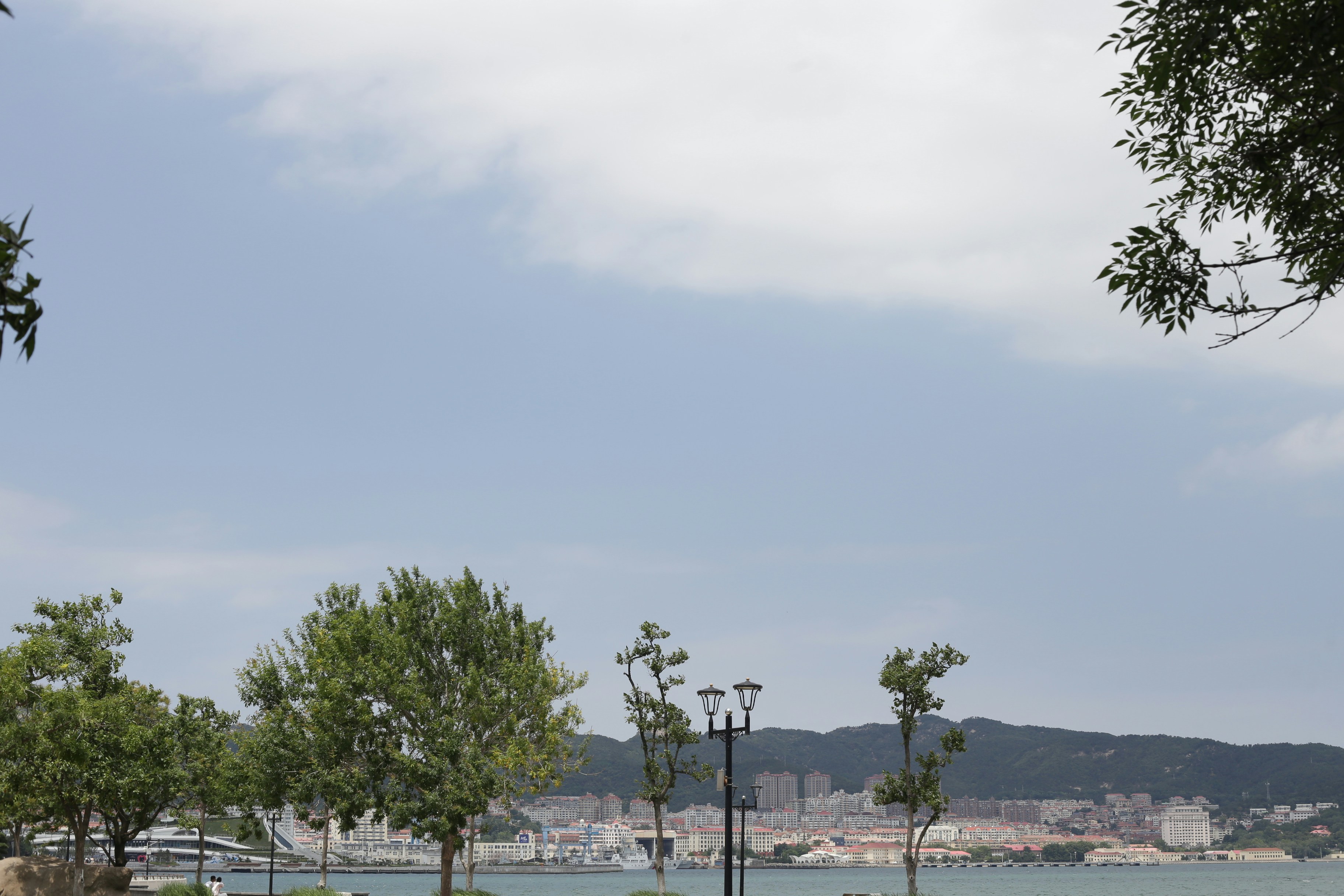 Lakeside Skyline: Trees and Town Silhouette