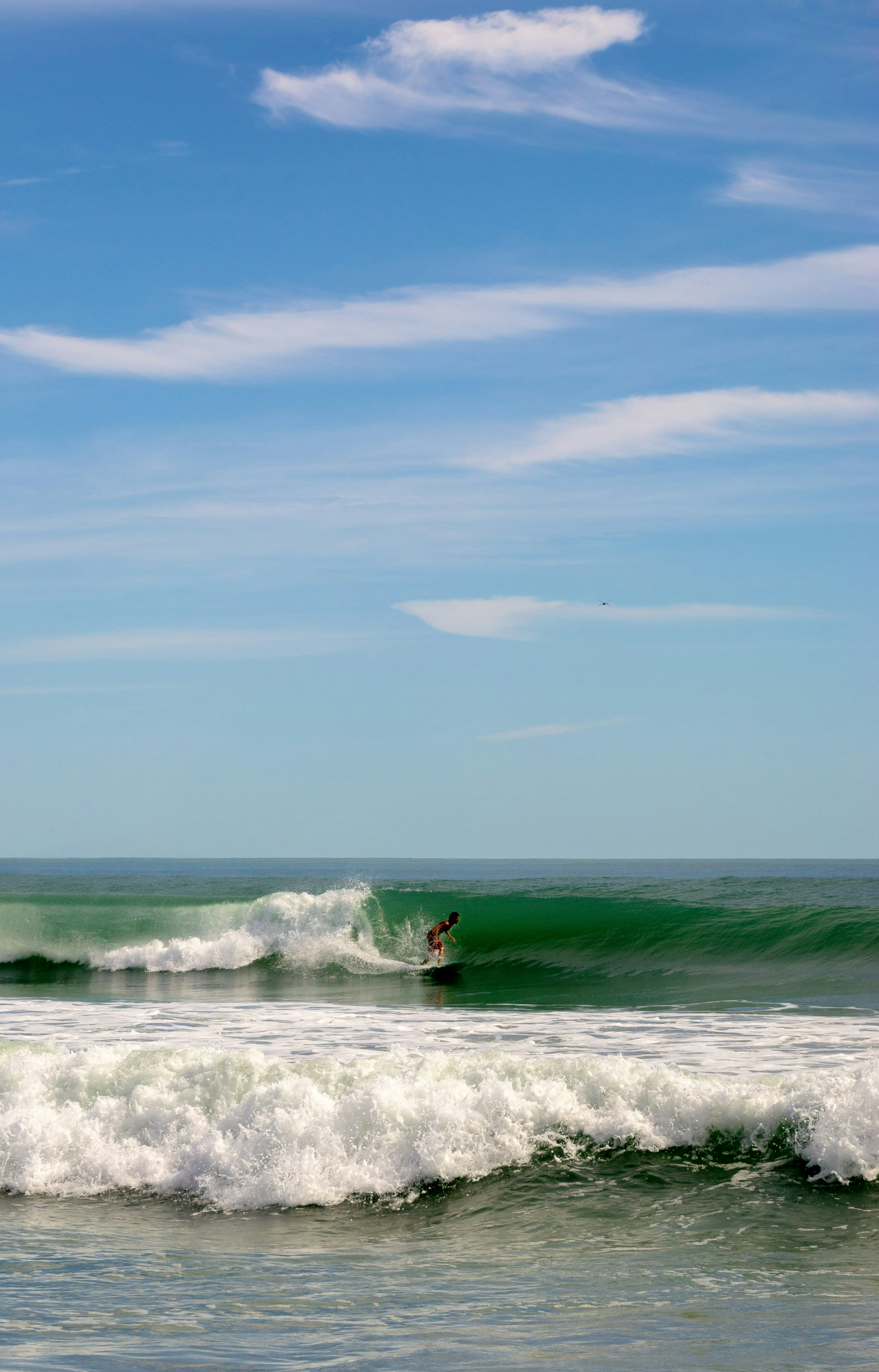 Green Crest: a lone surfer carving a line across a pastel sea