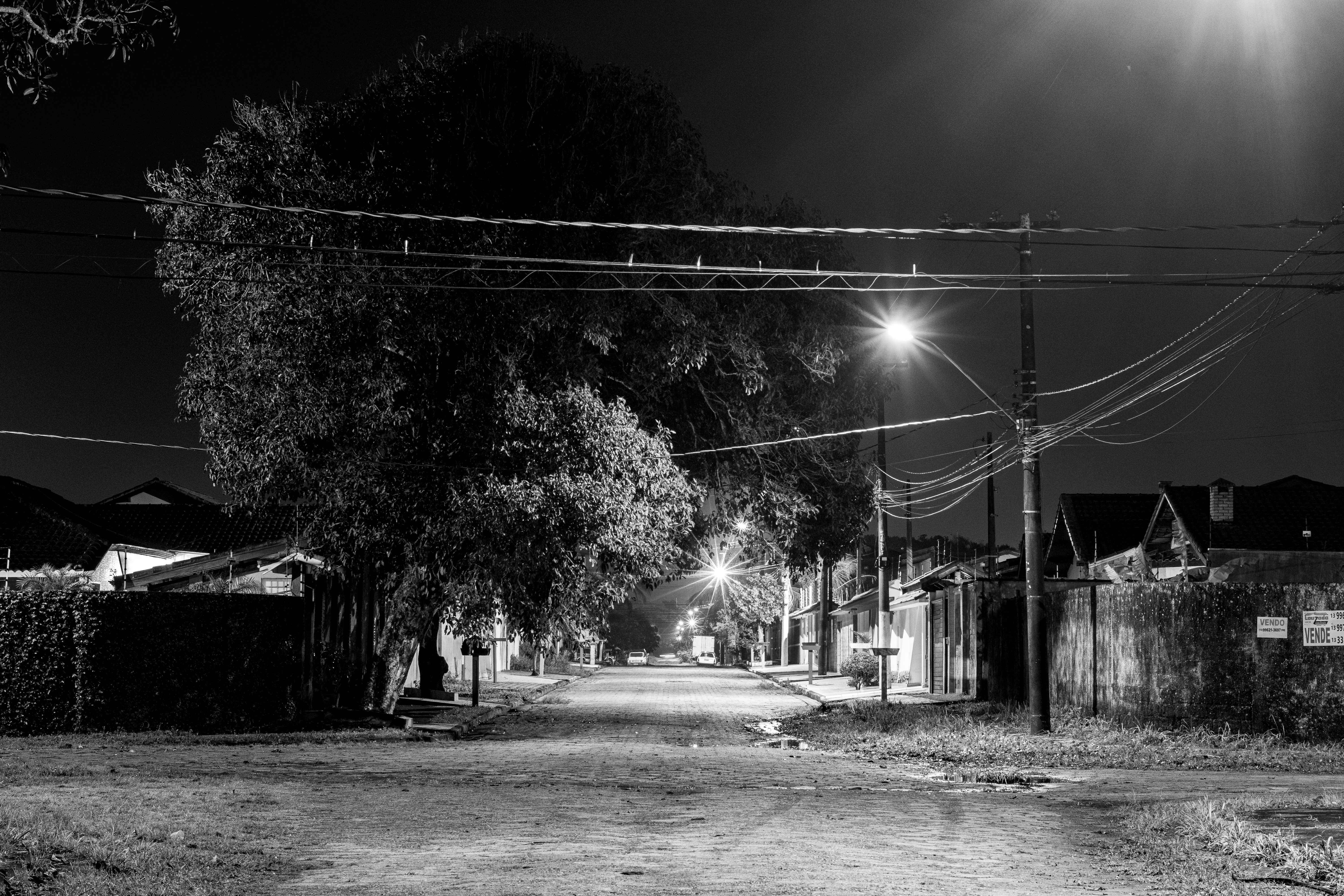 Night Street Choir: A Quiet Boulevard Under Neon Veins