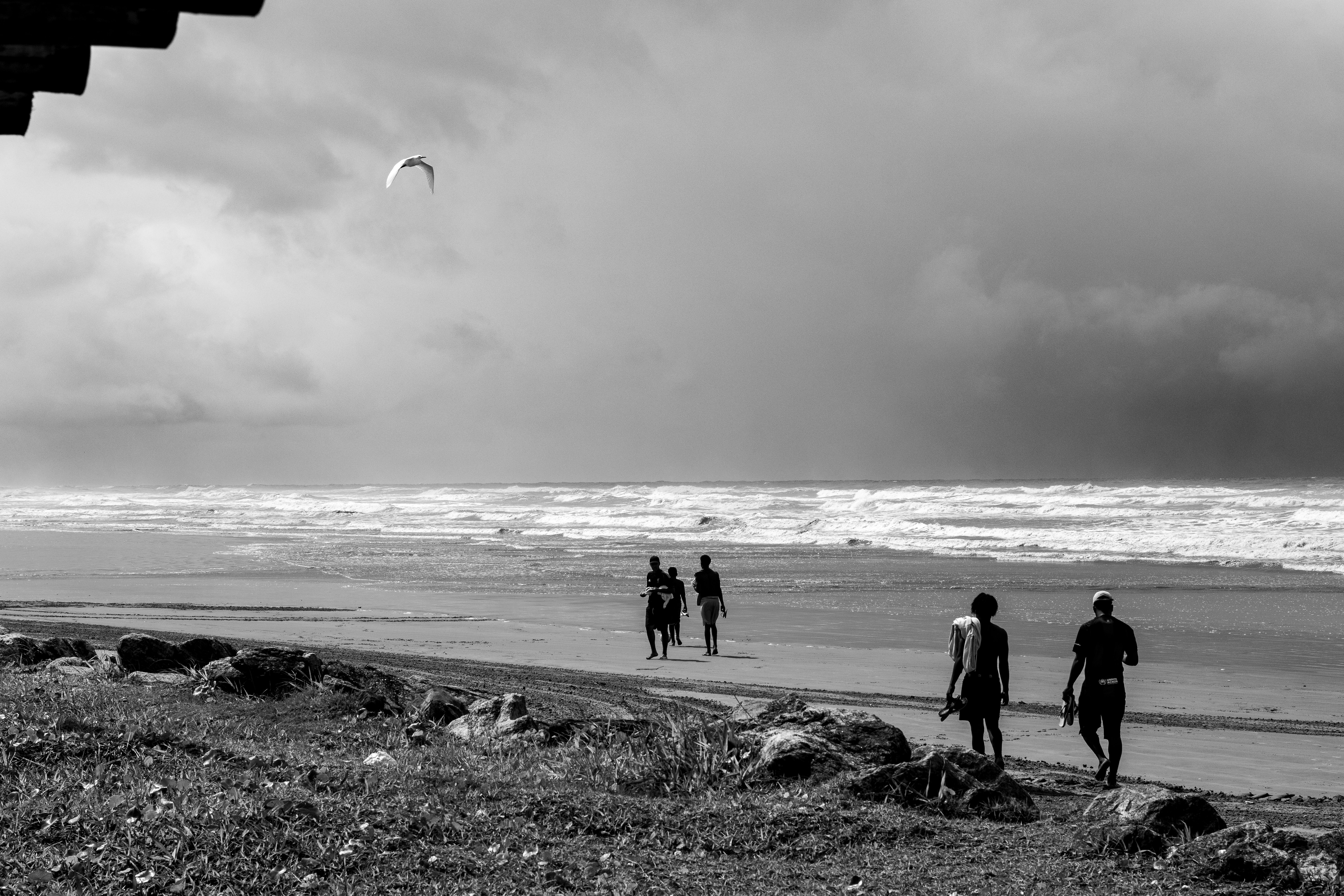 Shoreline Figures: A Quiet Quartet Beneath Open Sky