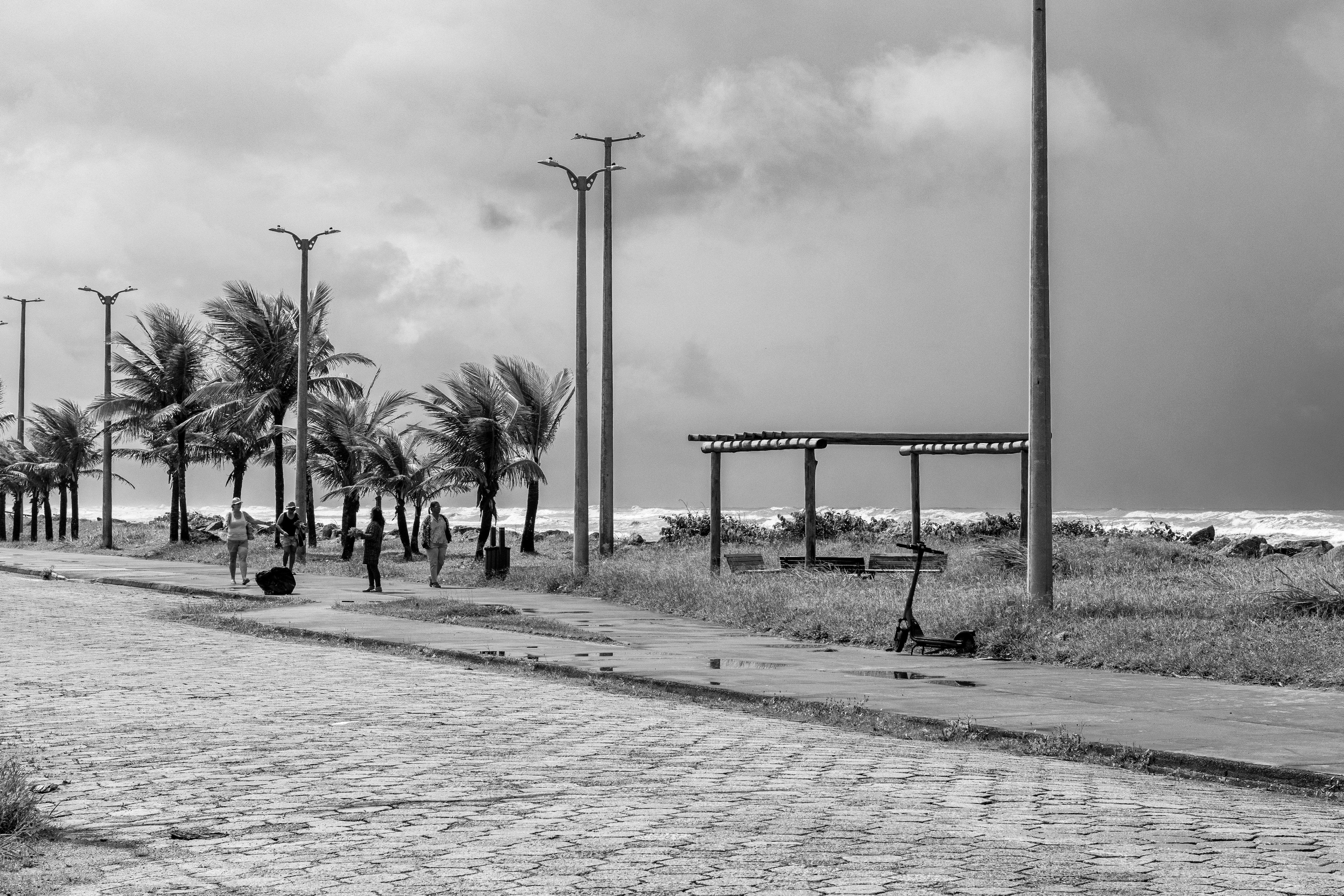 Monochrome scene along a coastal promenade with palm trees, a shelter, and distant figures on a weathered cobblestone path.