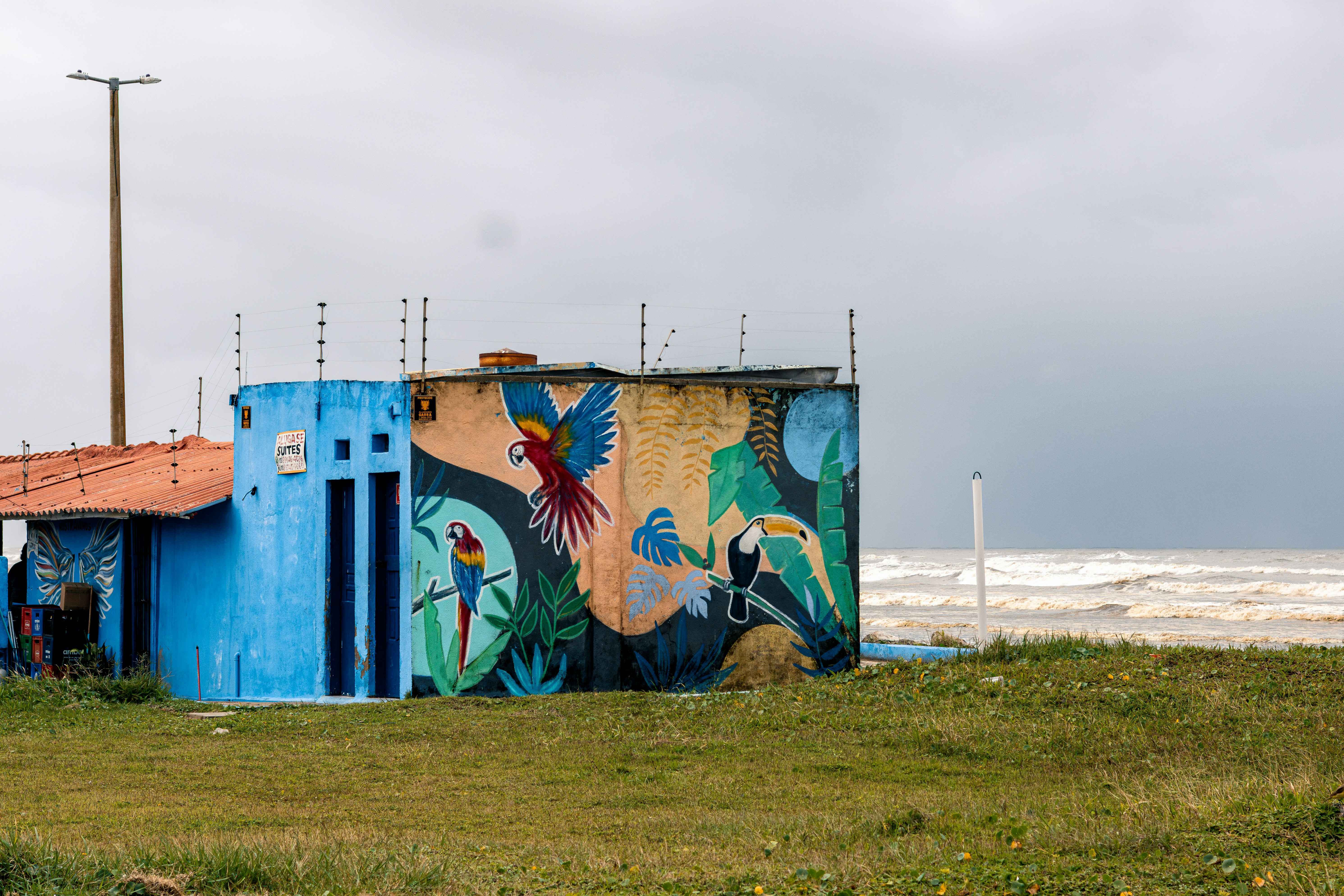 Blue Seaspray Murals: A Coastal Oasis of Color and Life