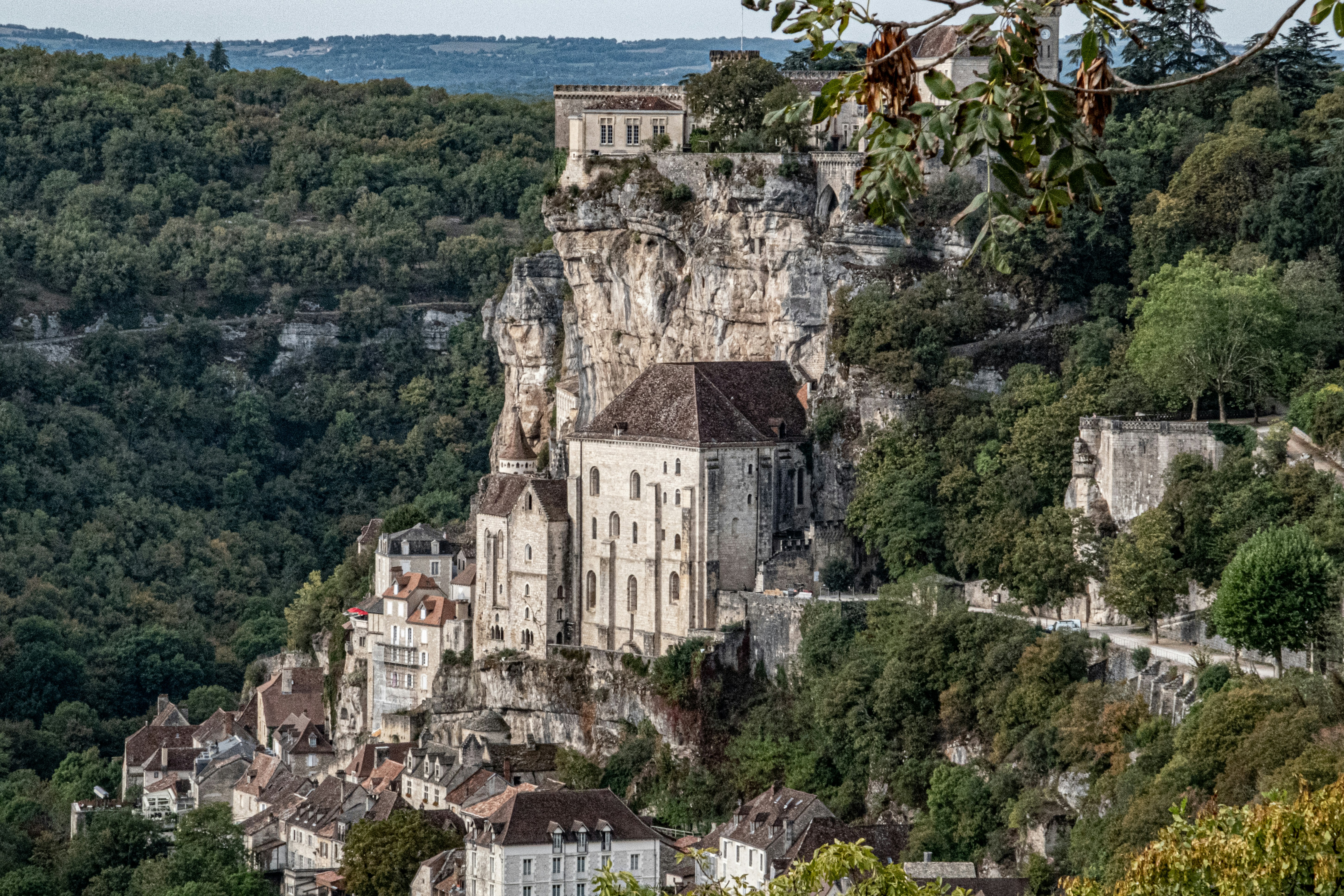 Castle on the Cliff: A Medieval Stronghold Crowned by Forest