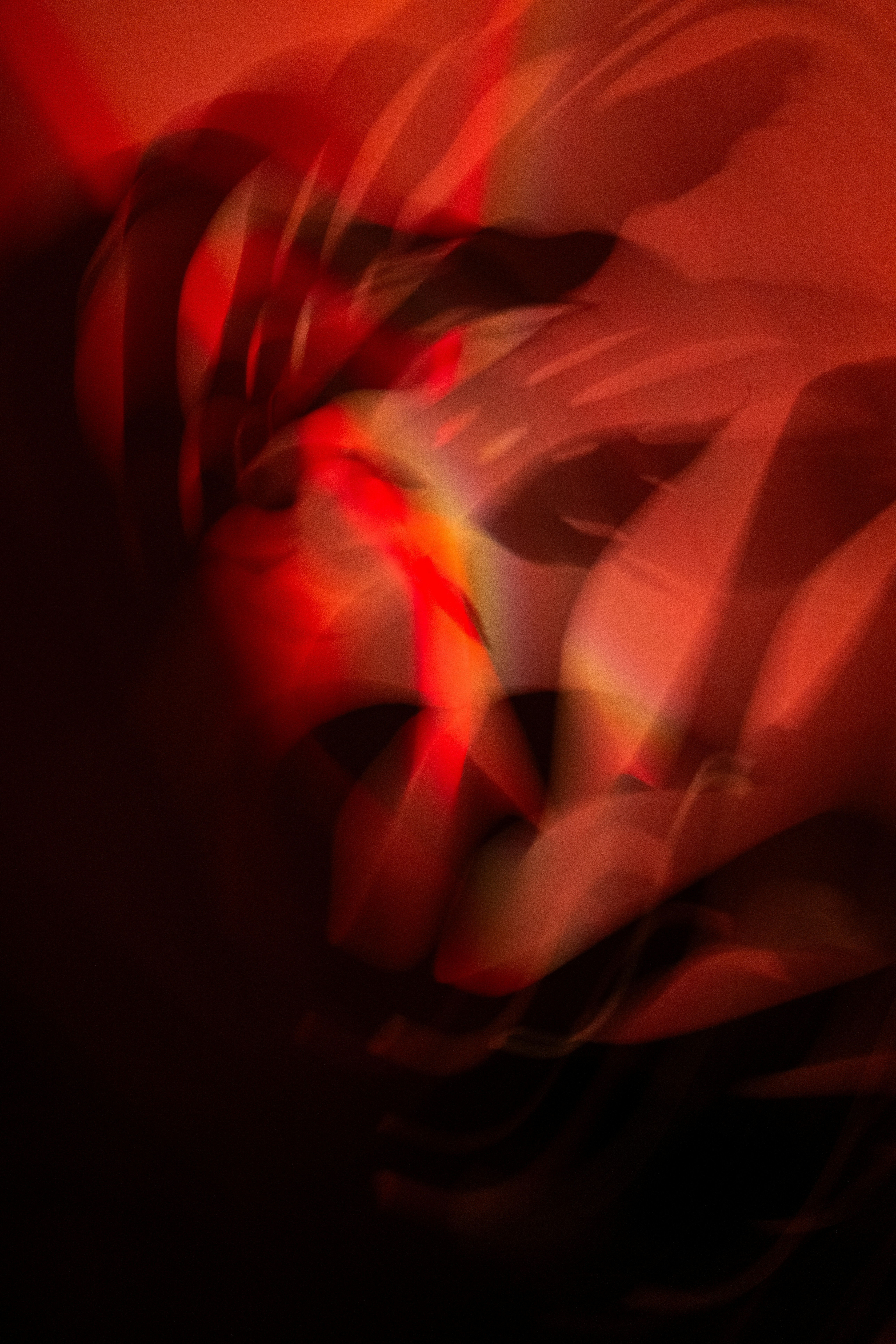 Red Motion: Abstract Bloom of Light and Shape