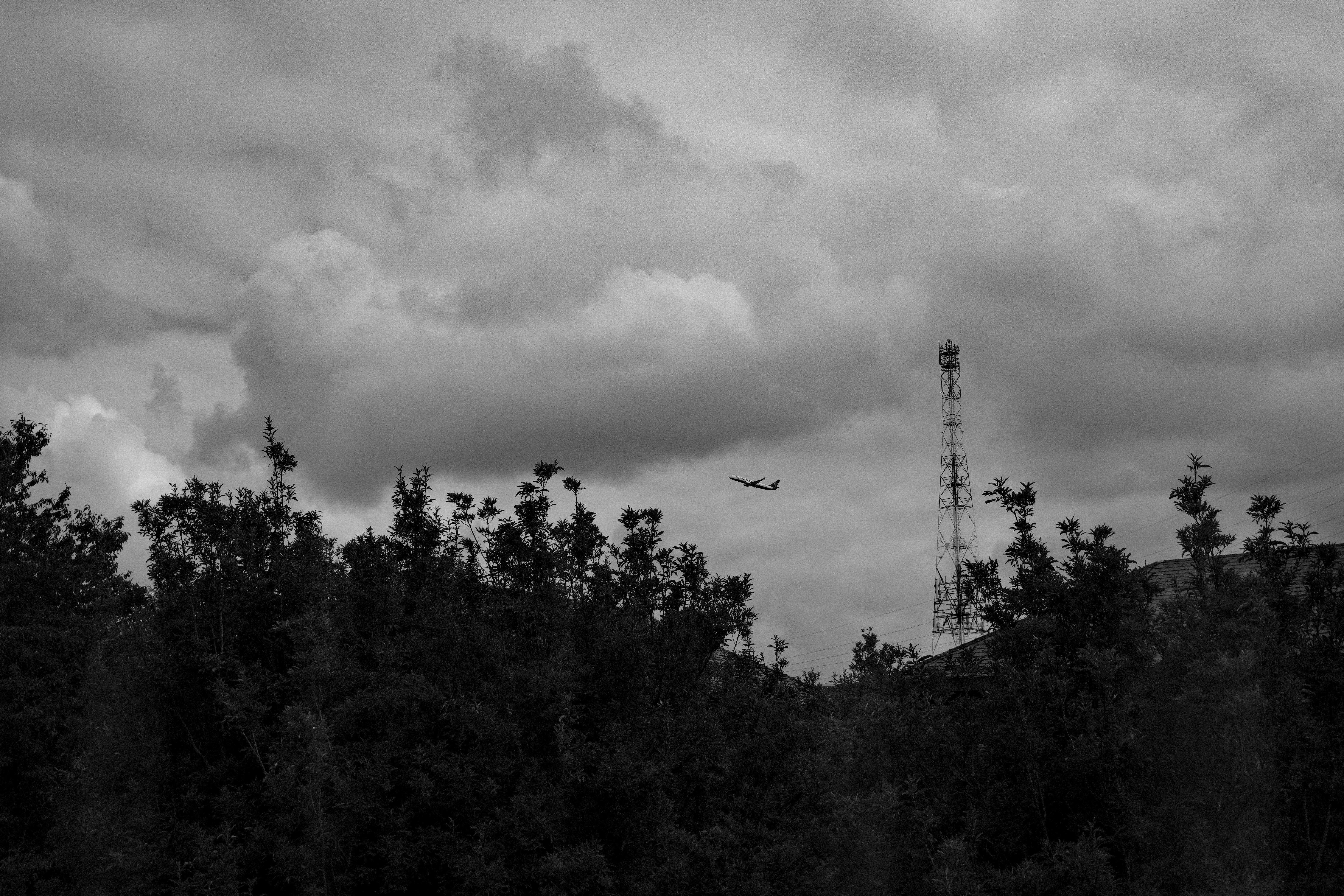 Aircraft over a treeline under dramatic clouds
