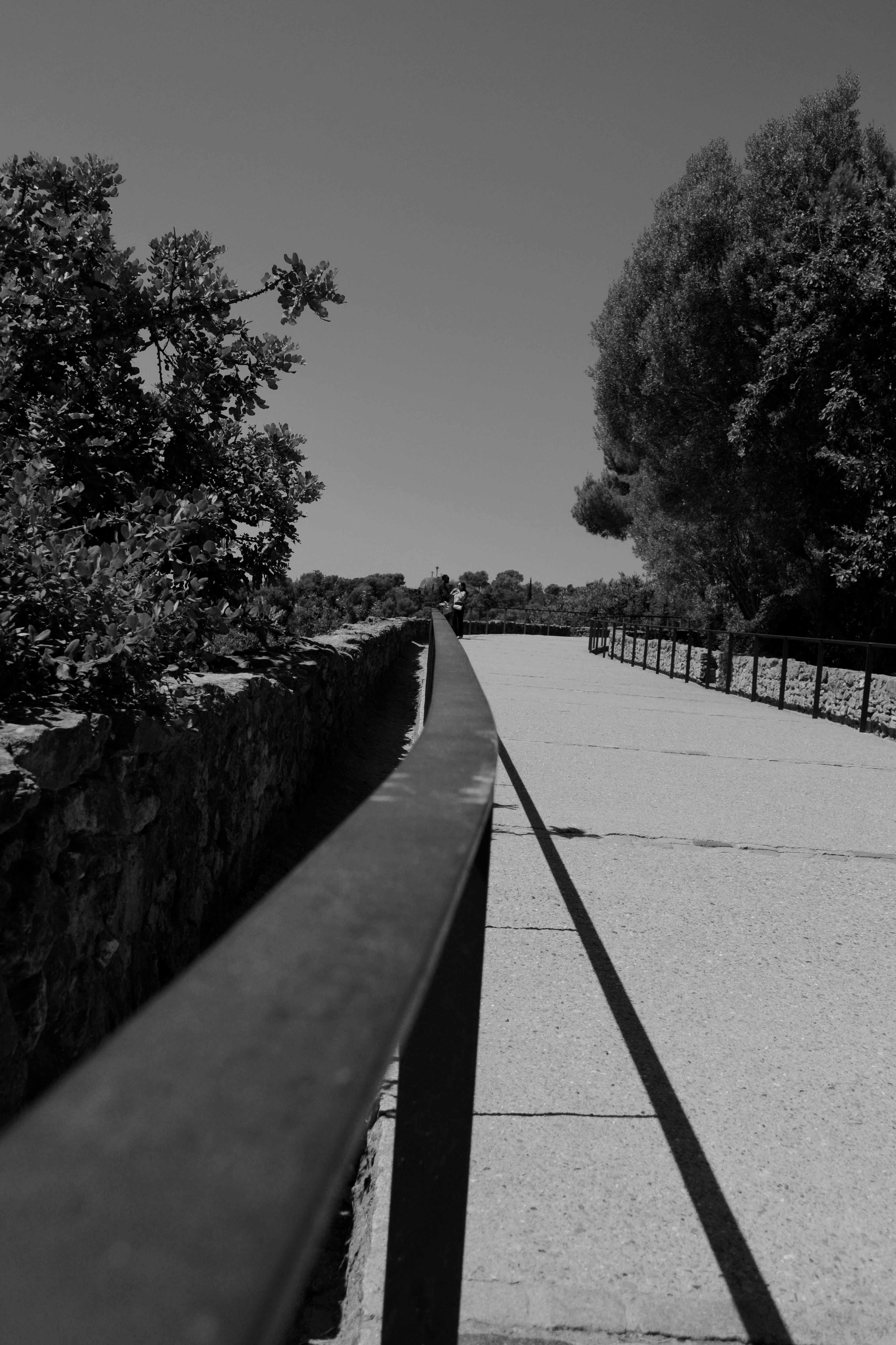 Long Walk on a Shaded Rail: Scenic Path through a Quiet Park