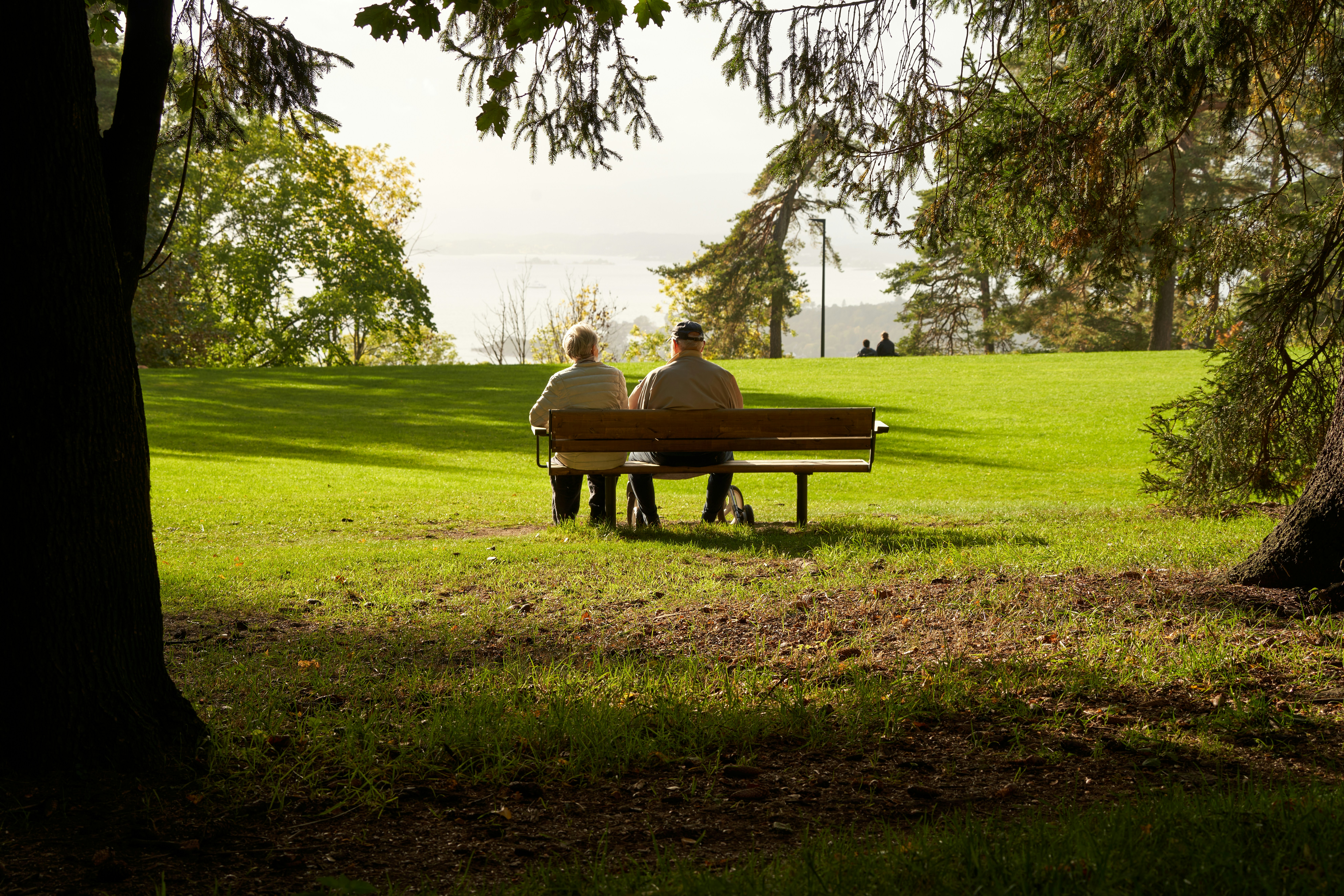 Two people sit side by side on a park bench under trees, facing away toward a bright open field and distant water. A serene moment in a public park captured with natural light.