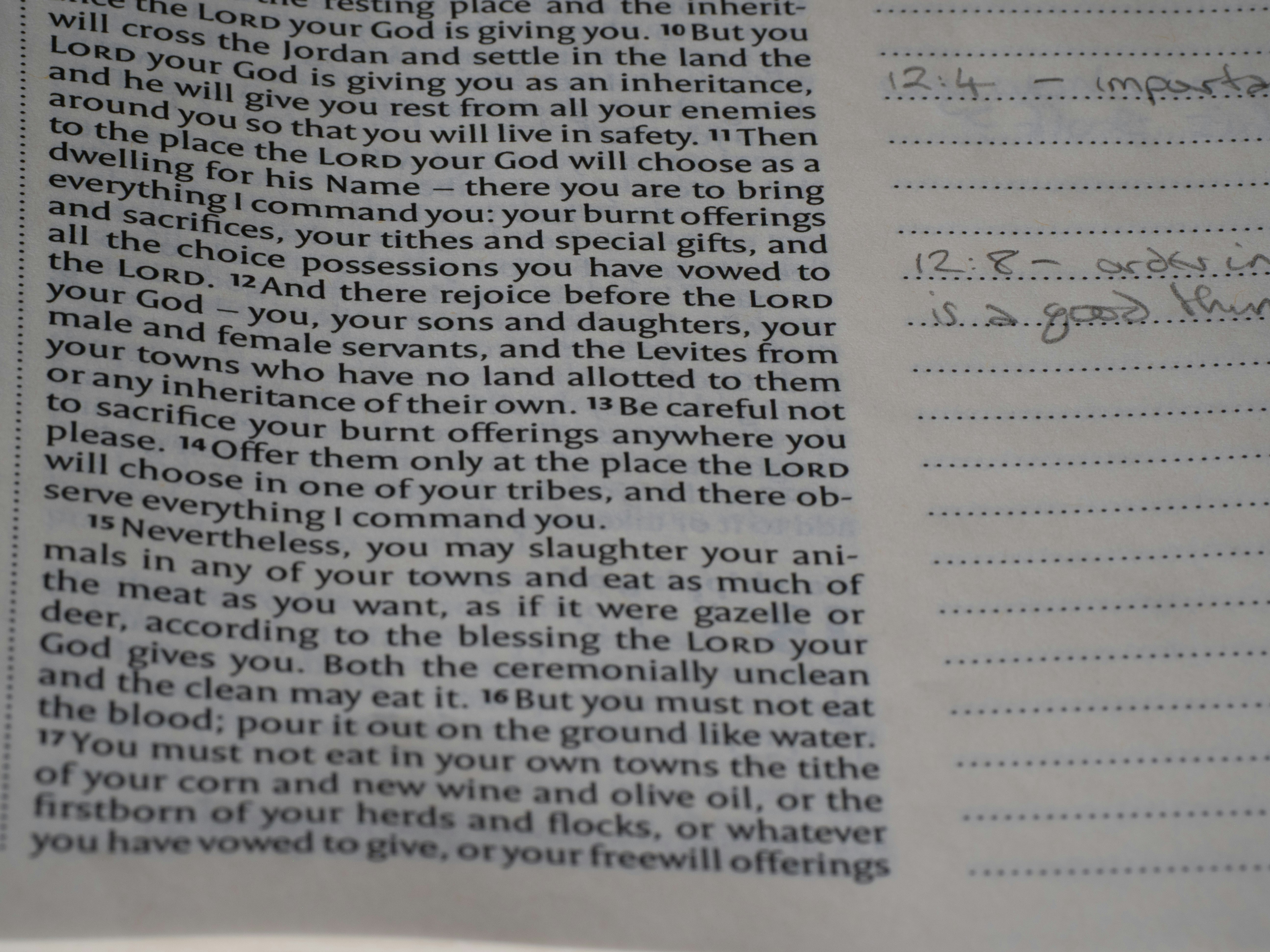 Hidden Ledger: A Page of Old Script and Inked Notes