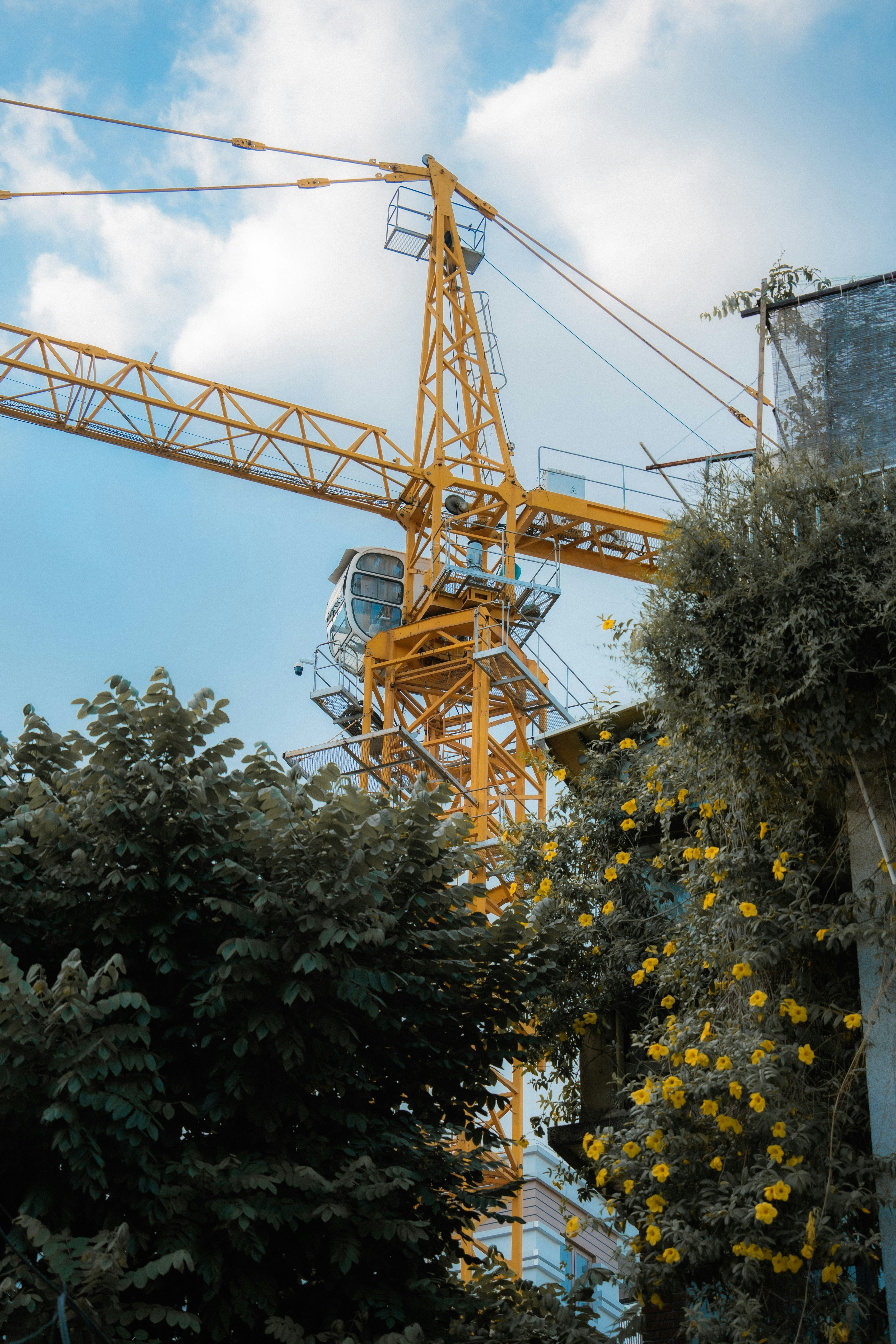 Vertical construction crane towering above lush greenery and flowering vines, set against a bright blue sky.