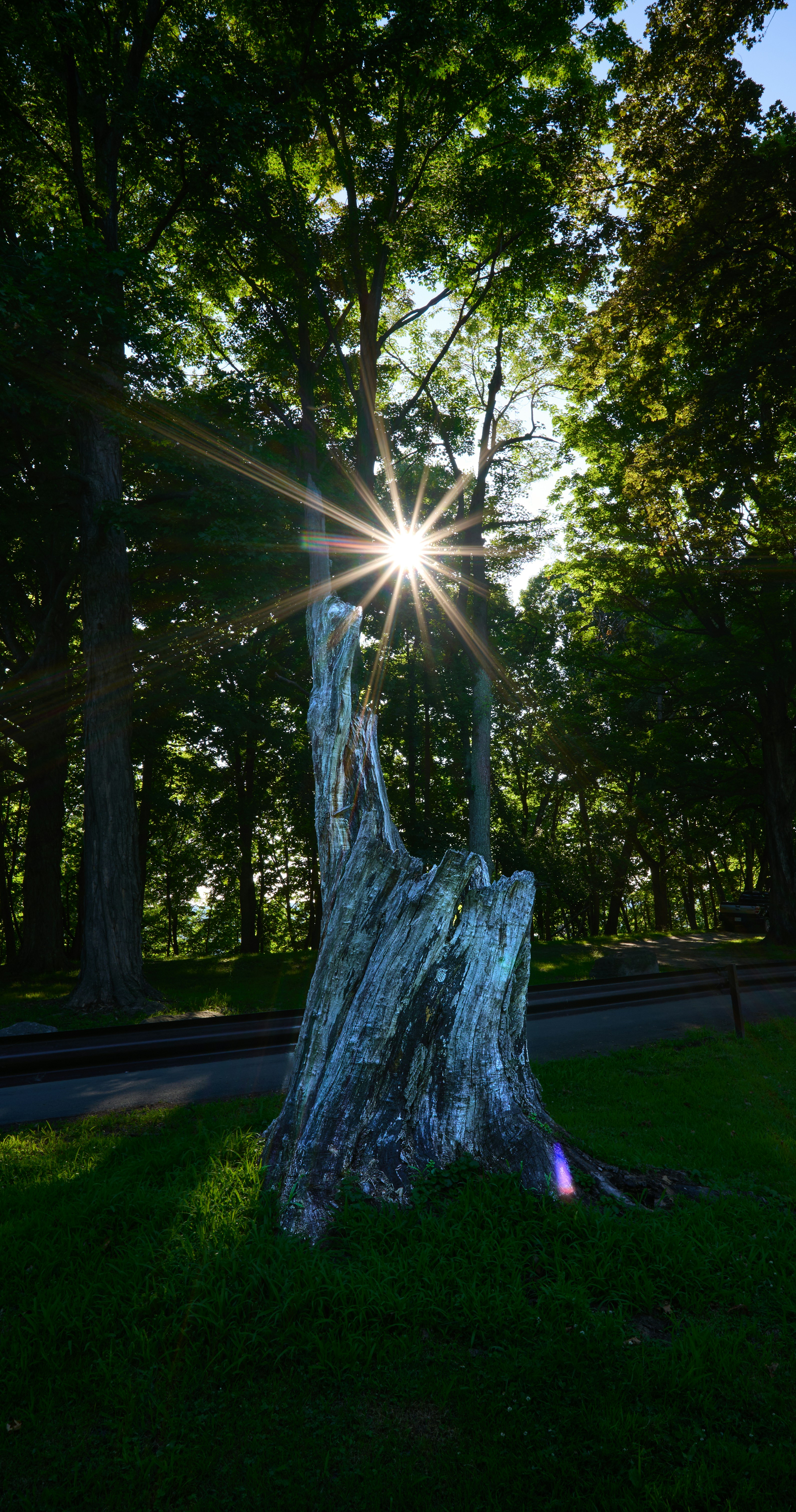 Sunburst over a weathered sculpture in a sunlit forest