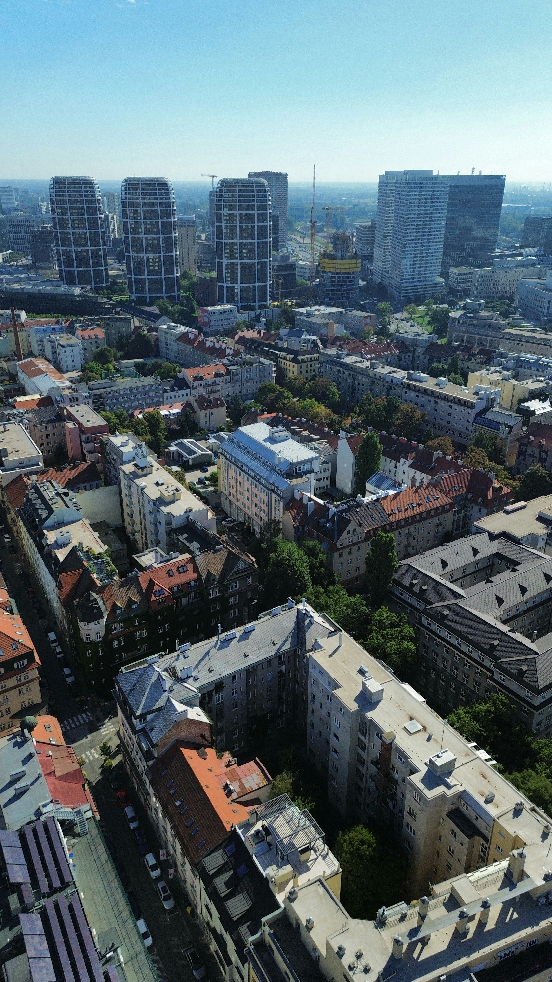 Cityscape from Above: A Linear Skyline Bordered by Historic Blocks