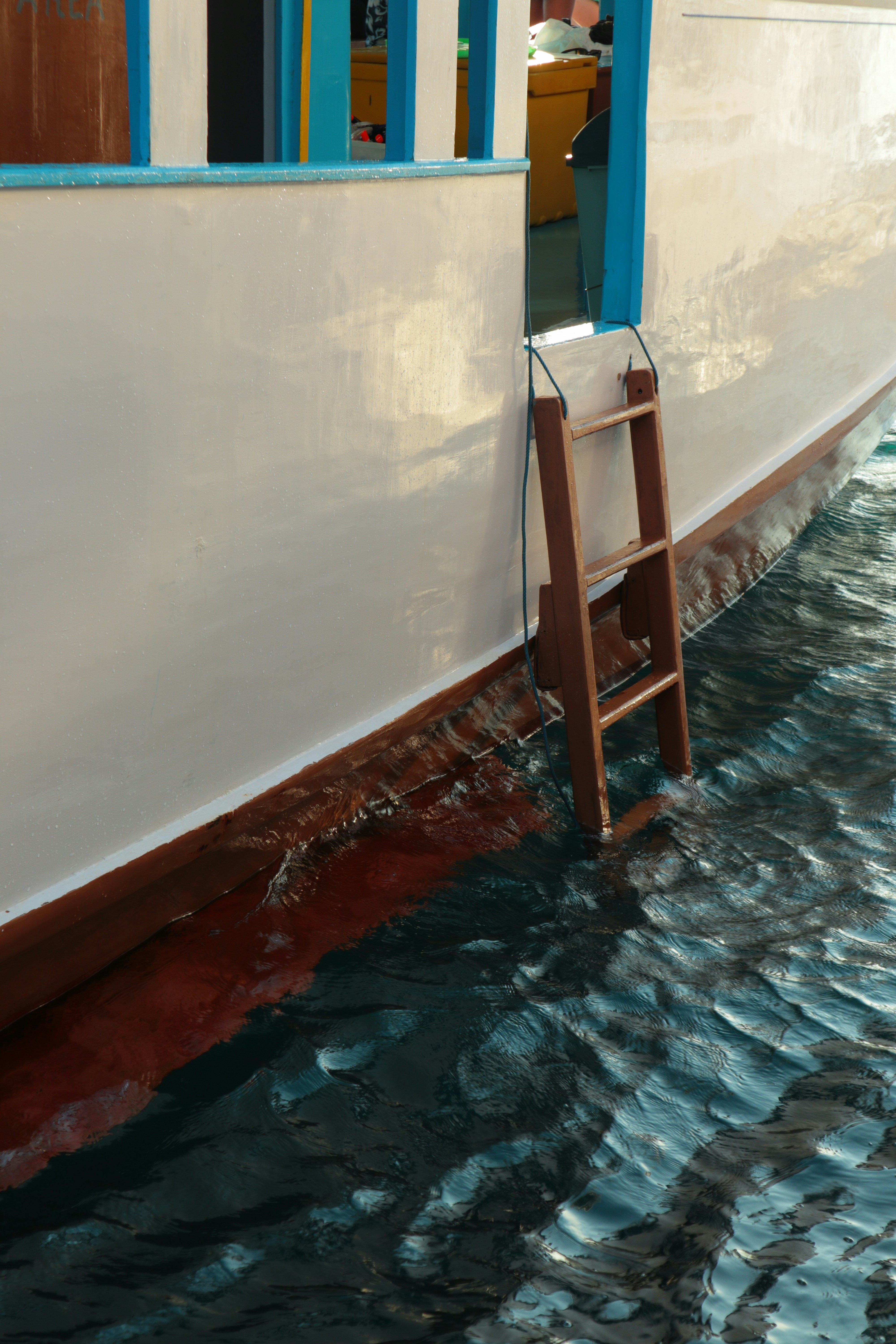 Ladder at the Waterline: A Quiet Shore Entrance