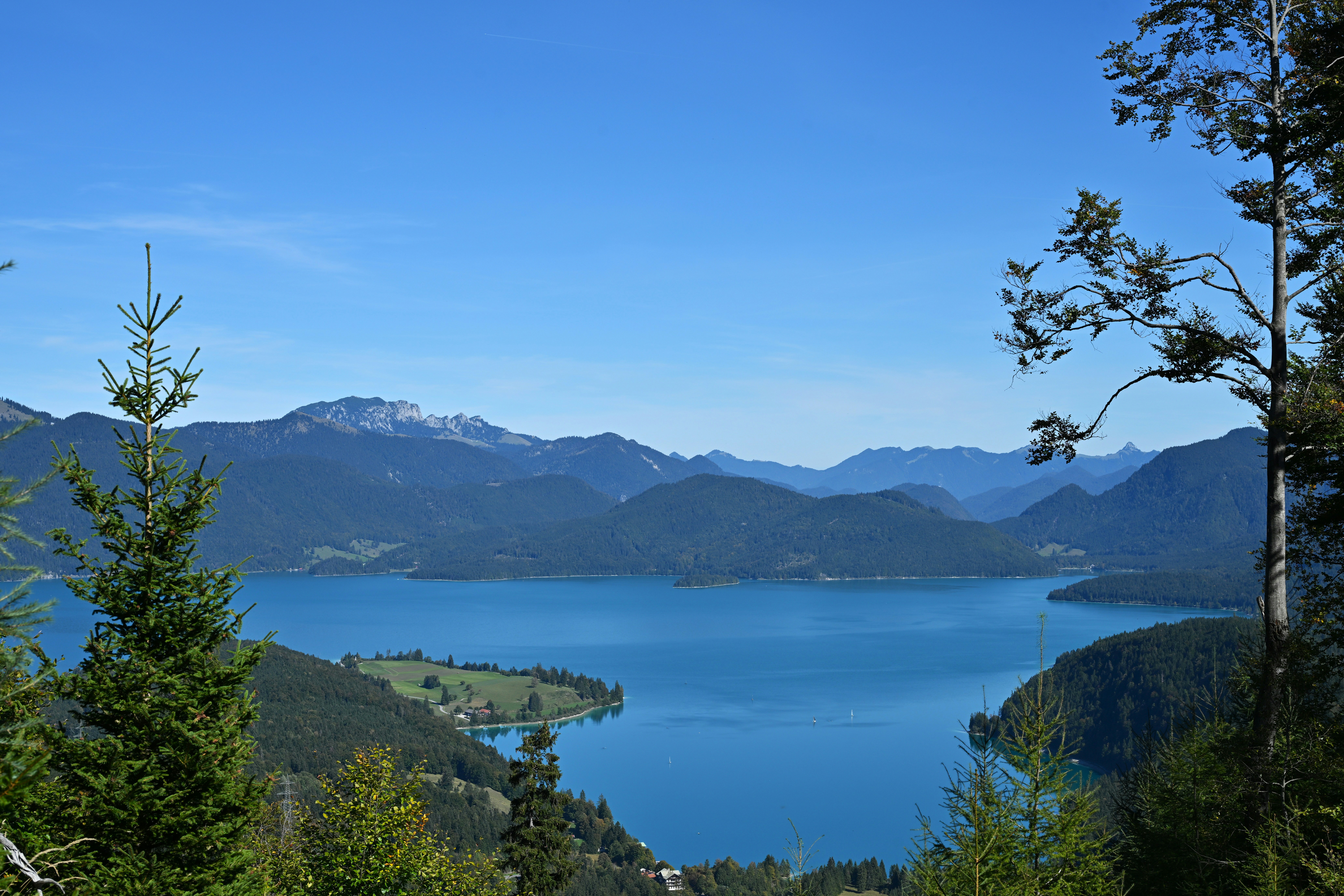 Glacial-blue Lake Vista: A Valley Between Pines
