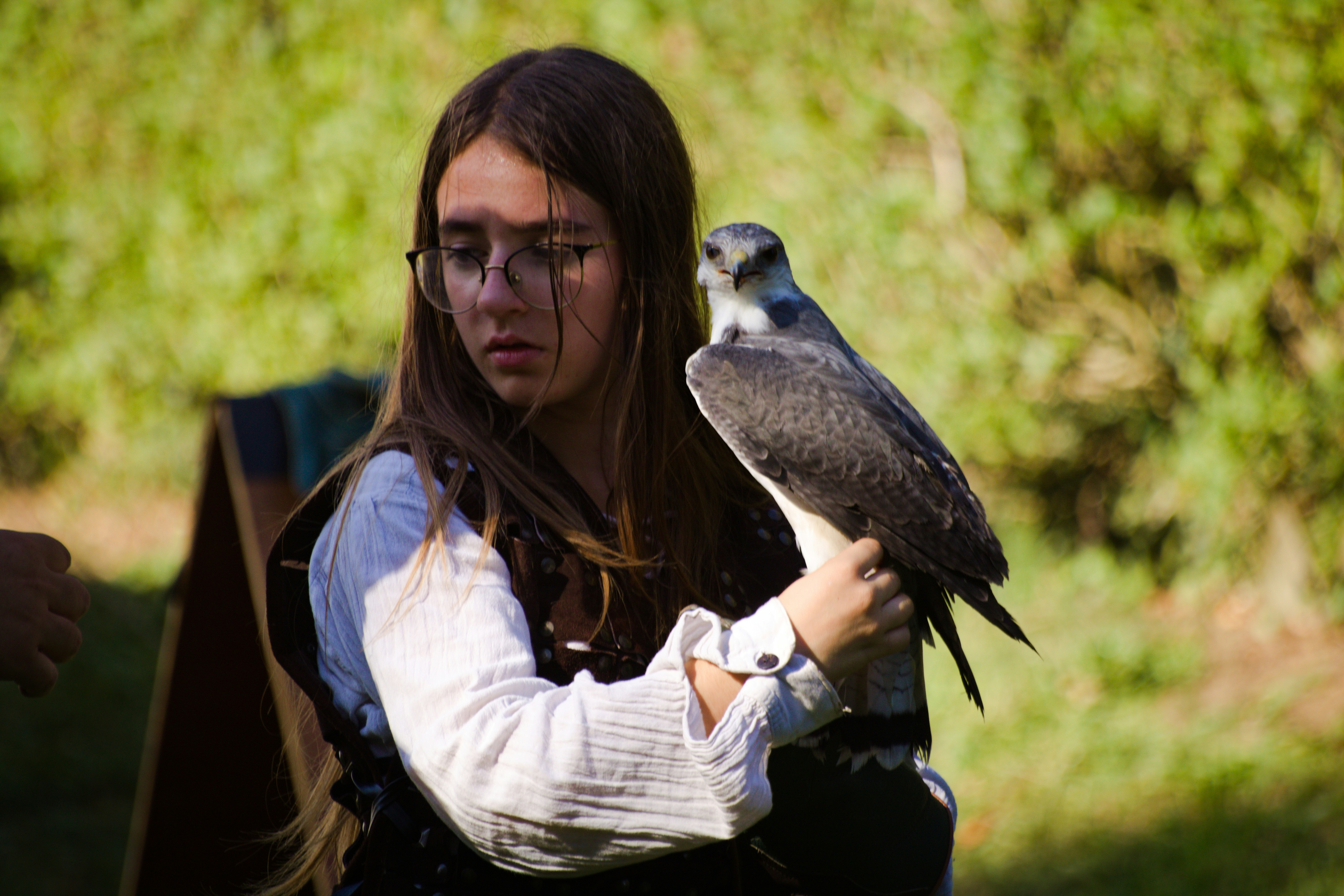 A Quiet Moment: Girl and Falcon in Soft Sunlit Glade