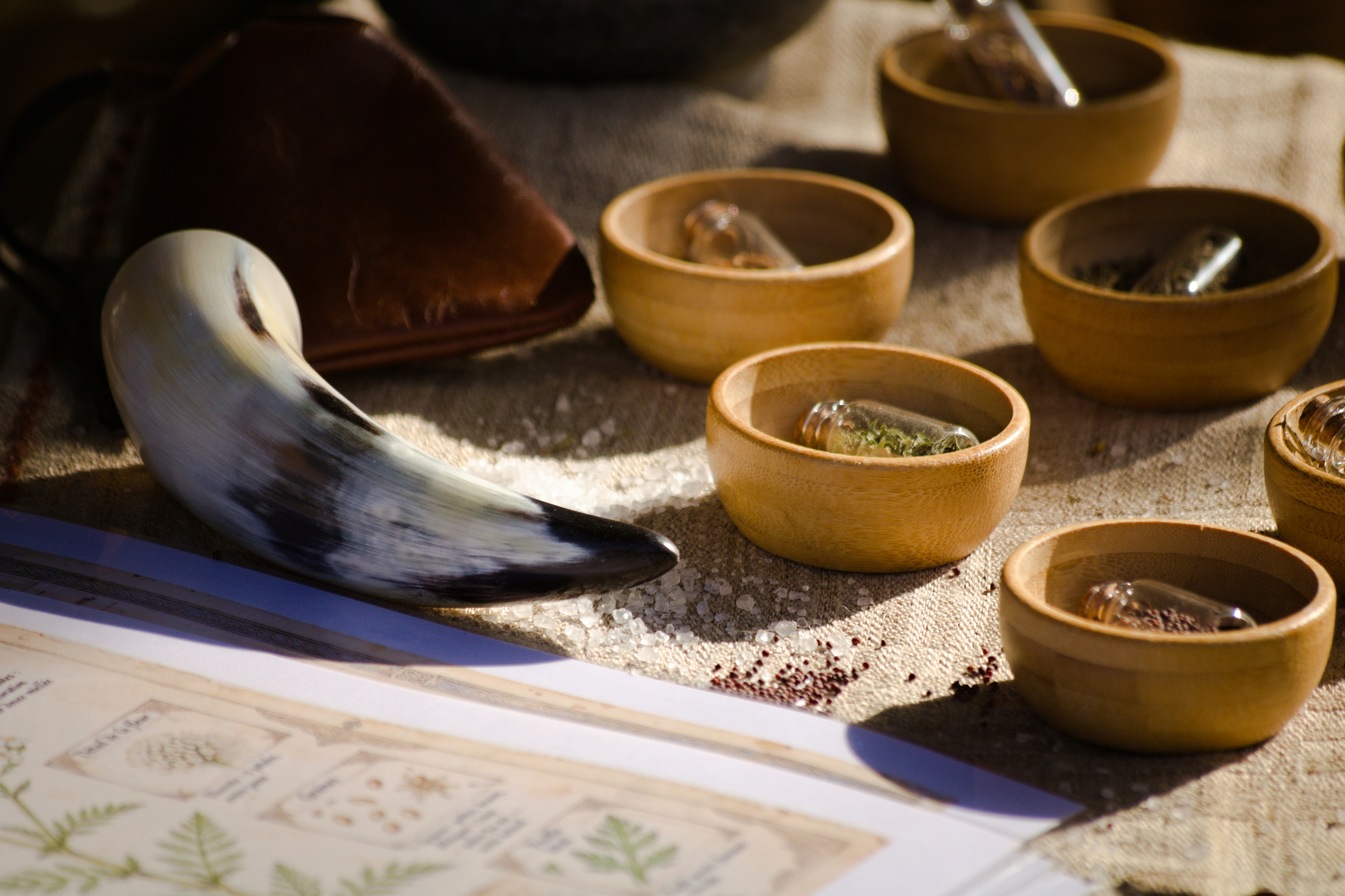 Shells and Cedar Bowls: A Quiet Market Still Life