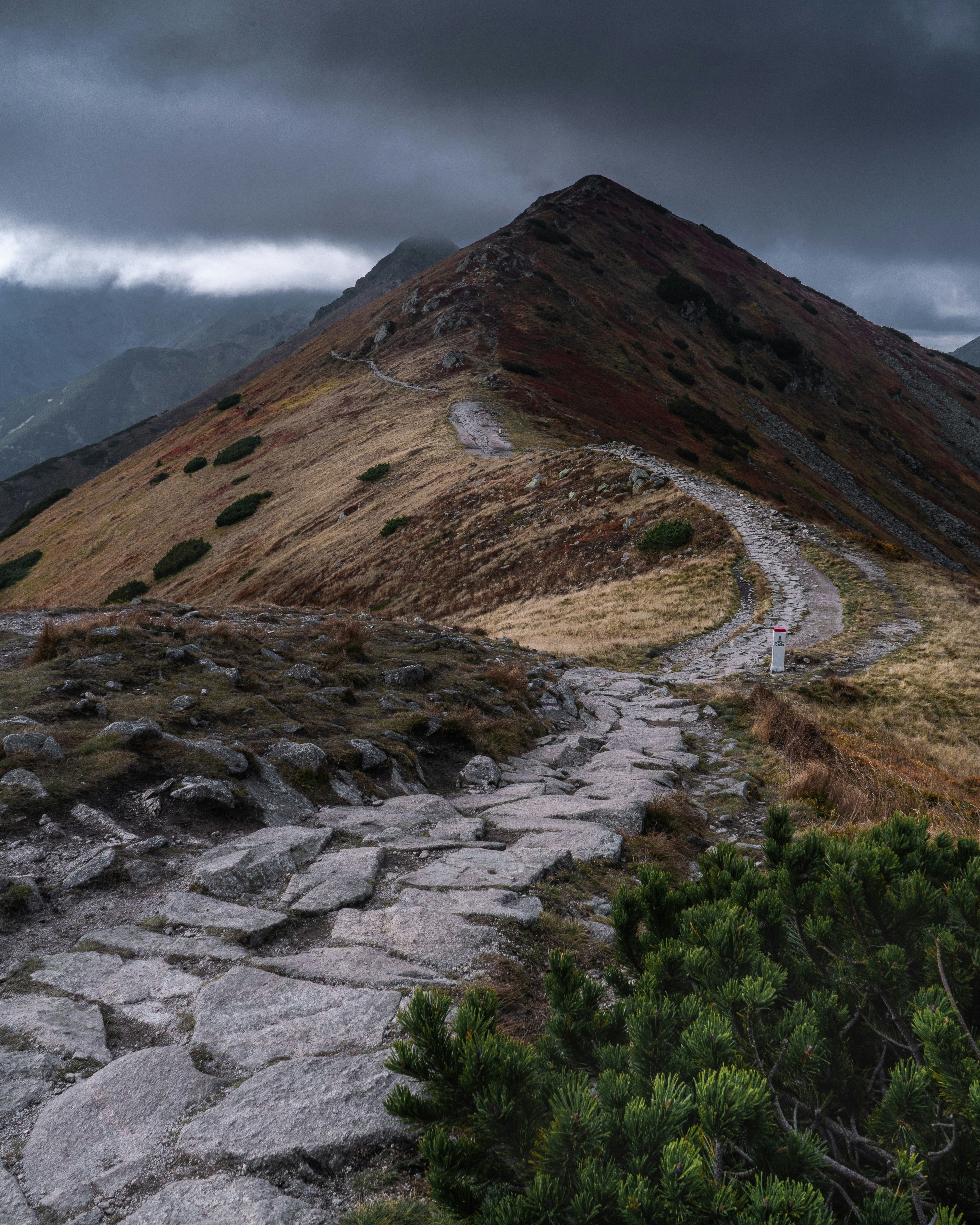 Trail to the Ridge: A Wind-Swept Ascent Beneath Stormy Skies