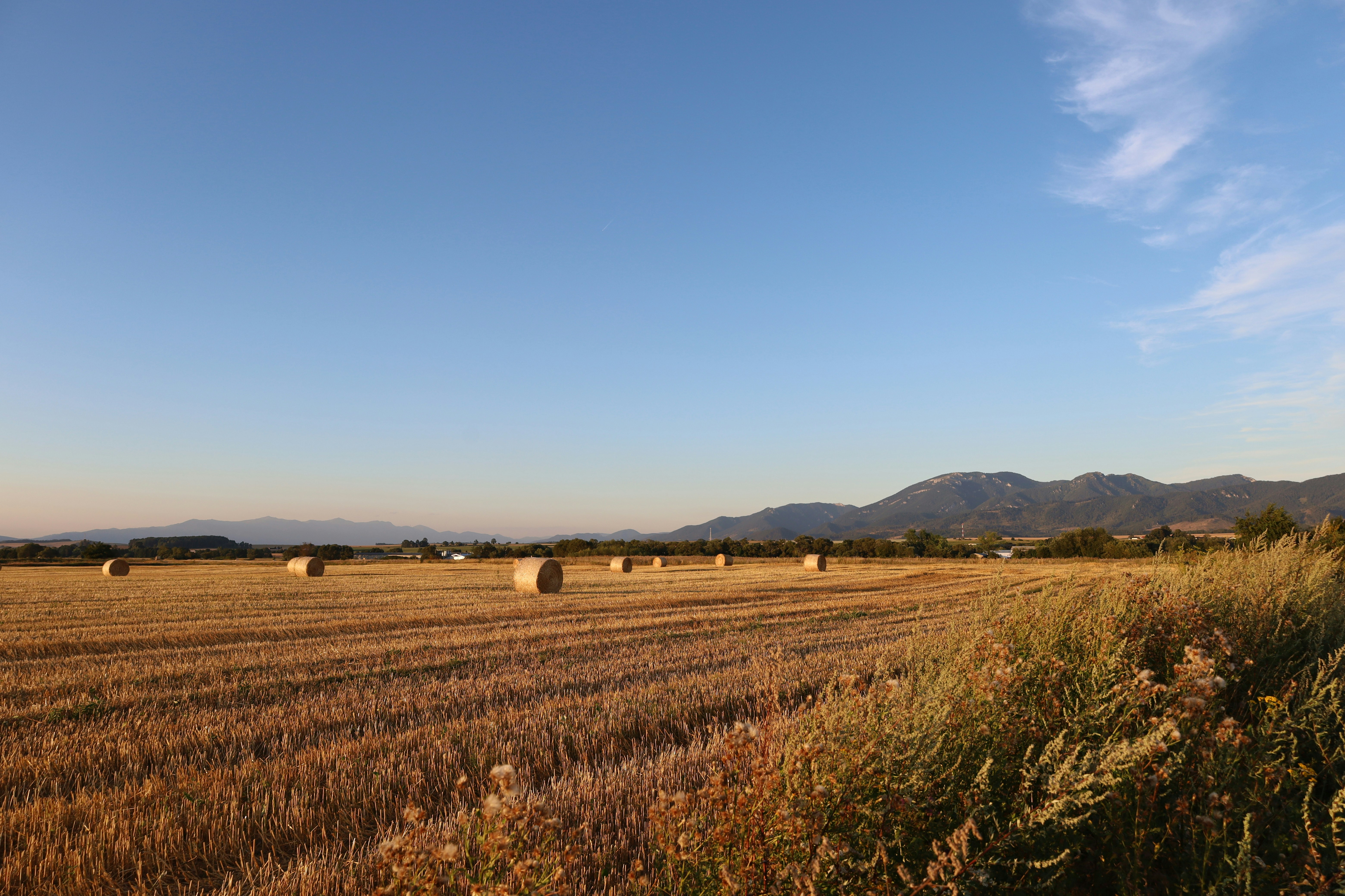 Golden Fields beneath Quiet Blue: Hay Bales and Distant Hills