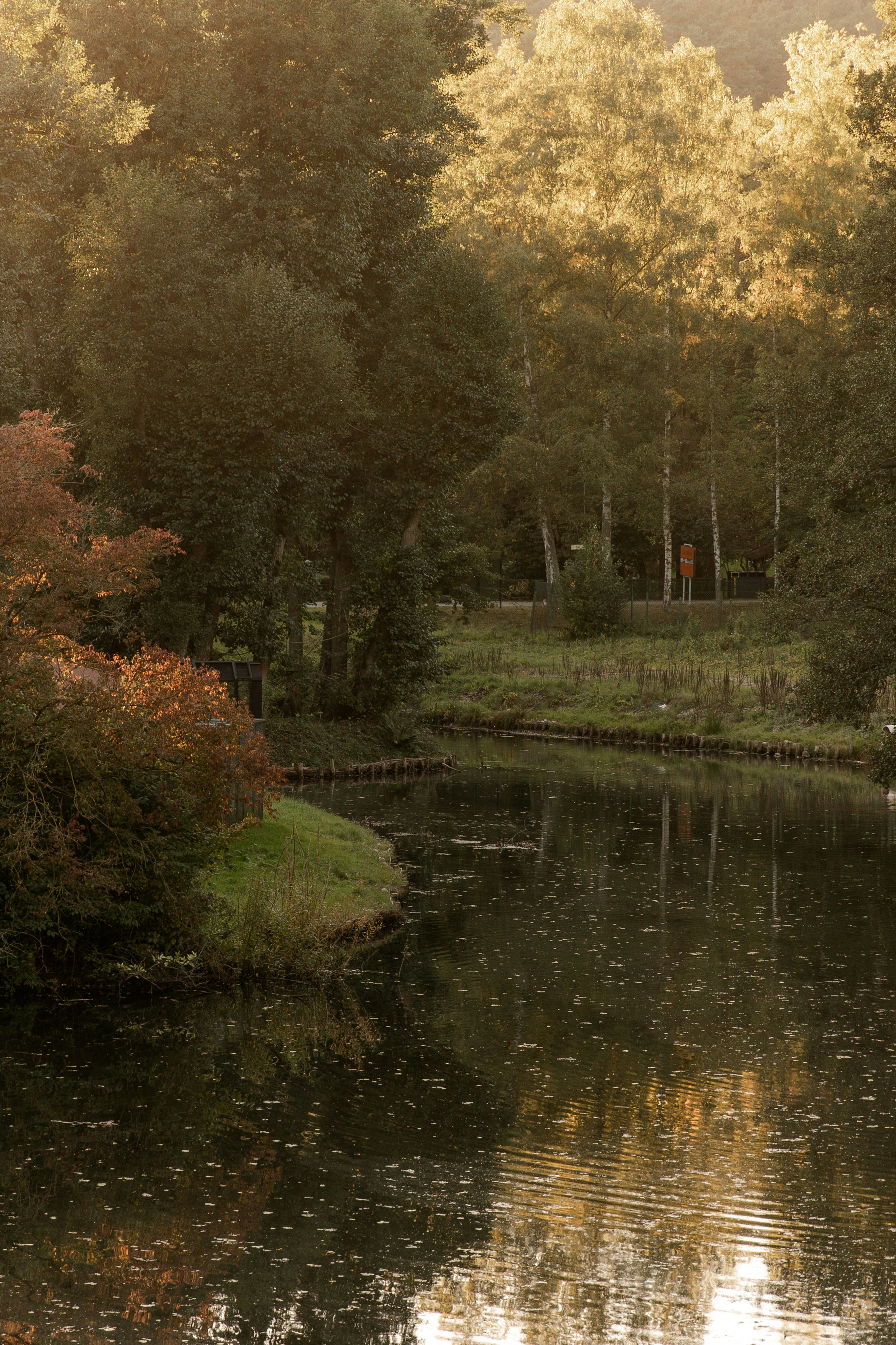 Sun-dappled riverbank scene with calm water and autumn foliage along a winding bank, reflecting golden light.