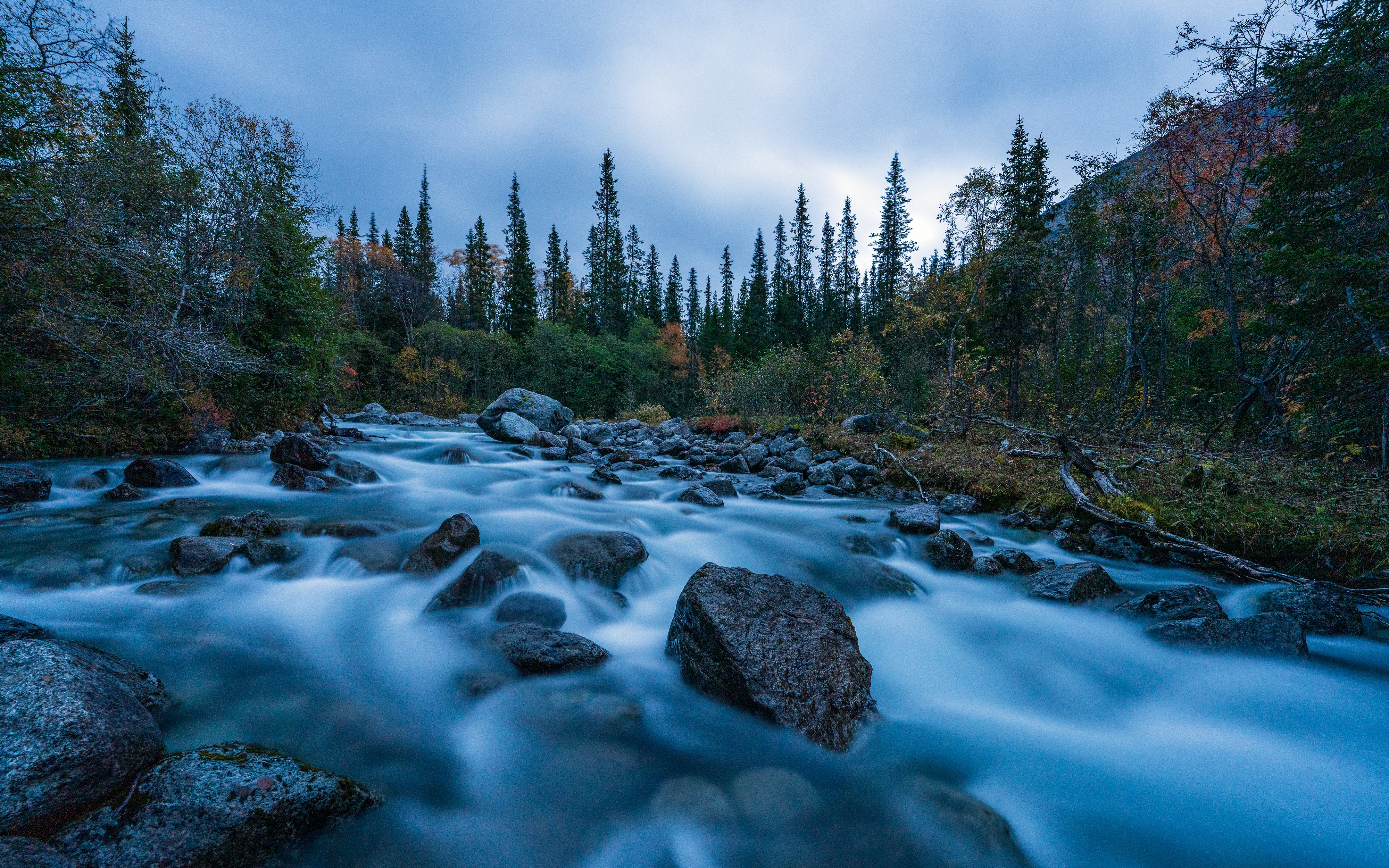 Swift river rushes over rocks beneath a forested canyon, captured in cool tones that emphasize movement and depth.
