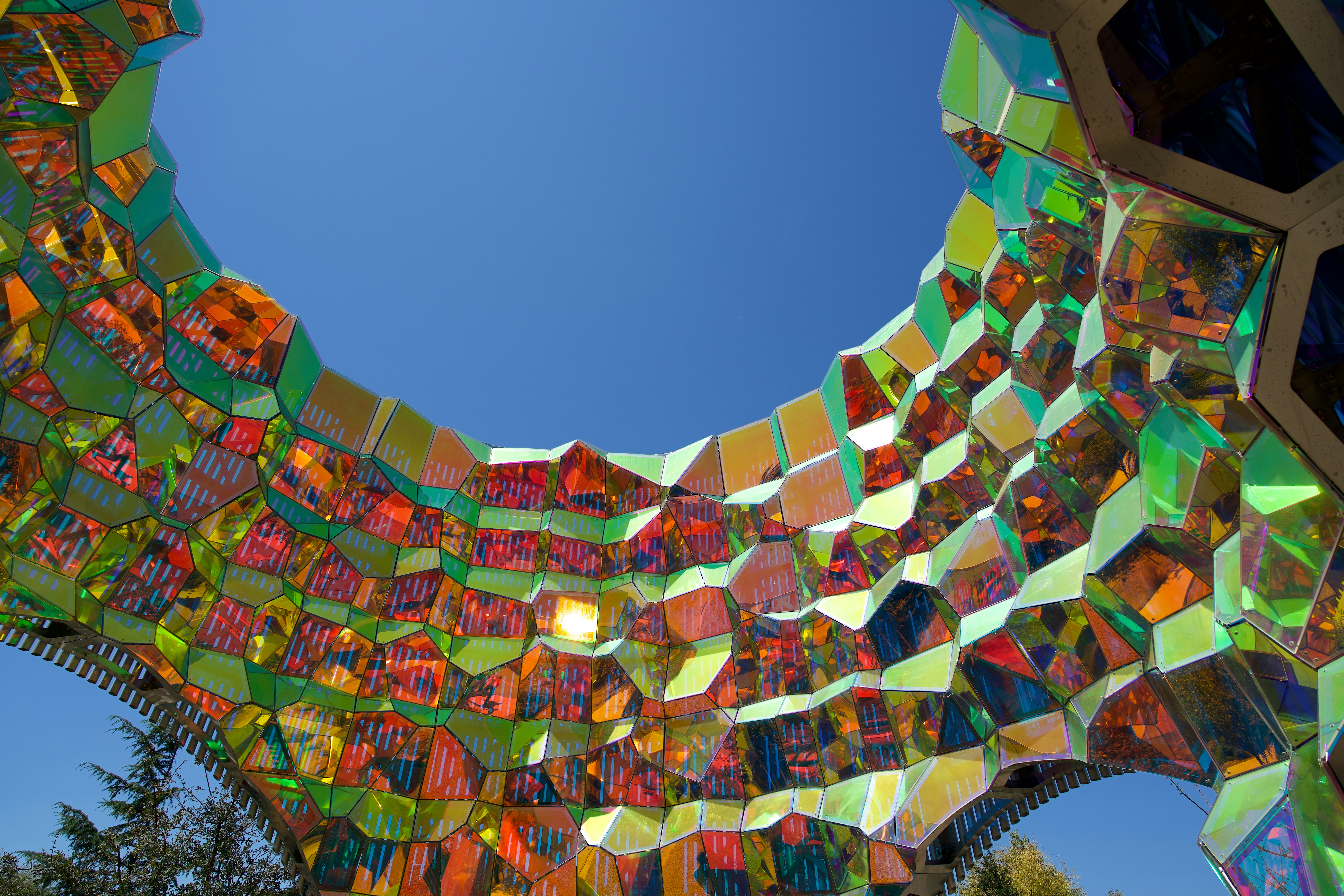 Kaleidoscopic Canopy: A Prism of Sunshine Under the Sky