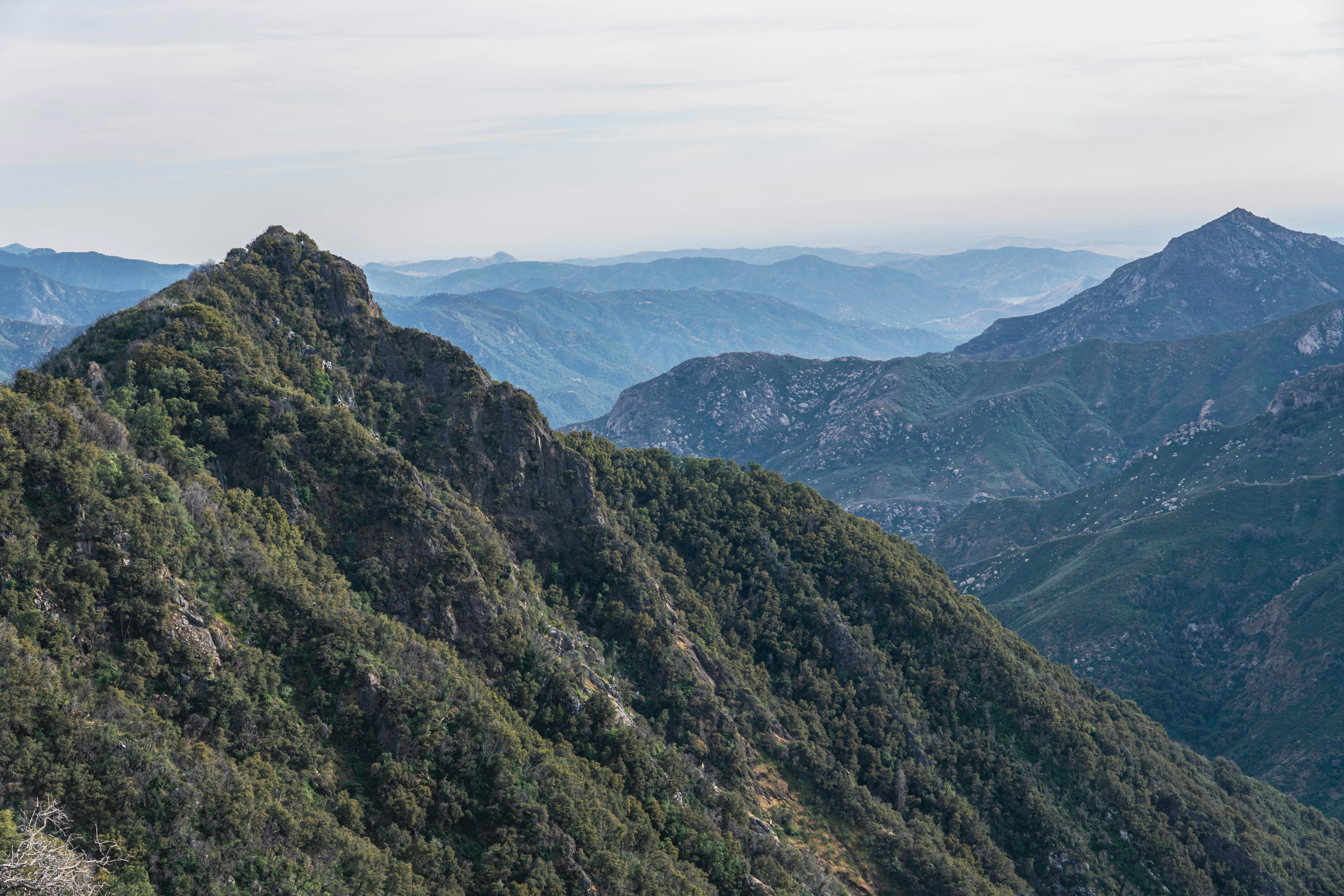 Ridgeline Reverie: A Corridor of Green Peaks under a Pale Sky