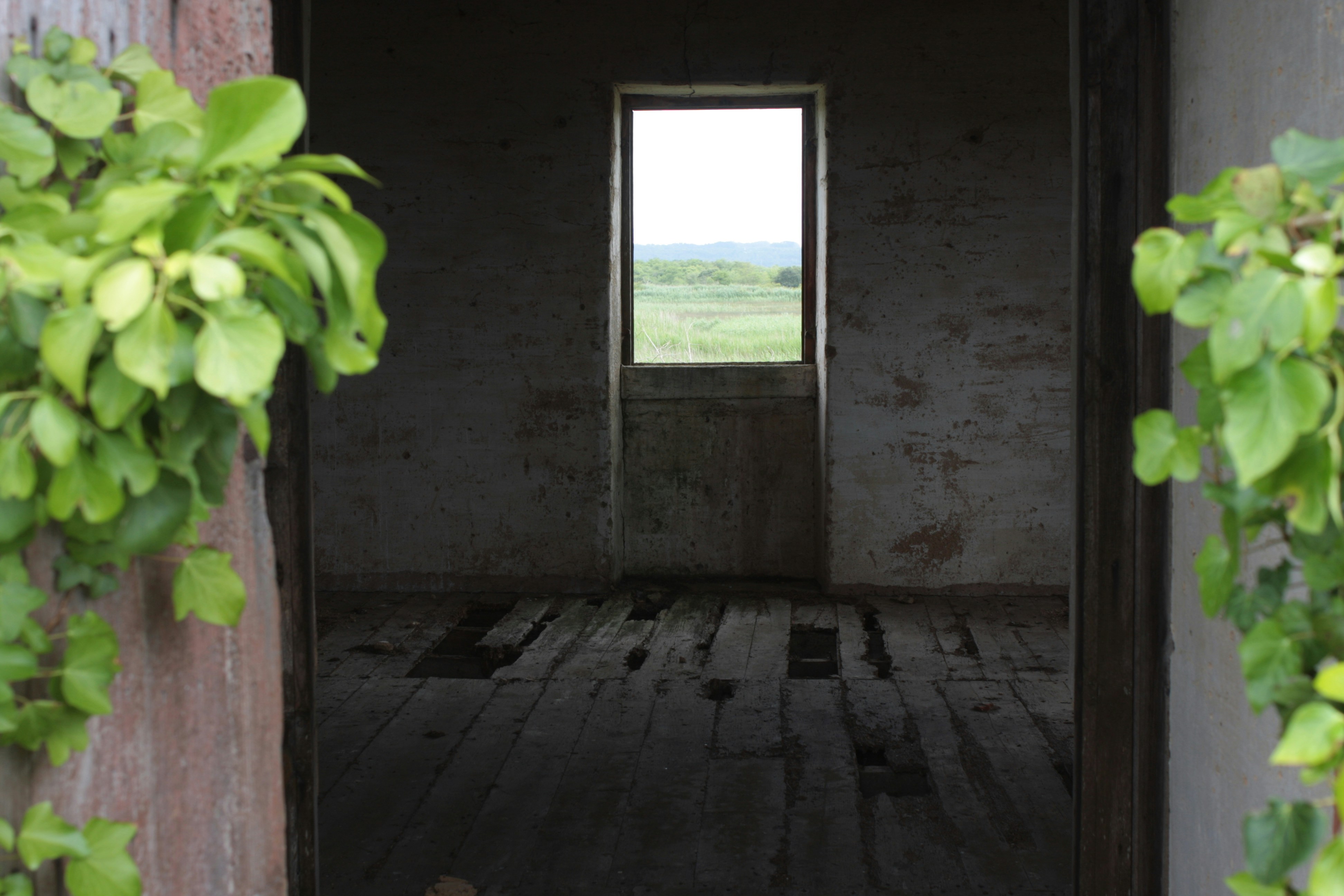 Abandoned interior framing opens to a bright landscape through a centered window, with lush greenery at gate edges. A lone view into the fields beyond, suggesting quiet vacancy and contrast between decay and nature.