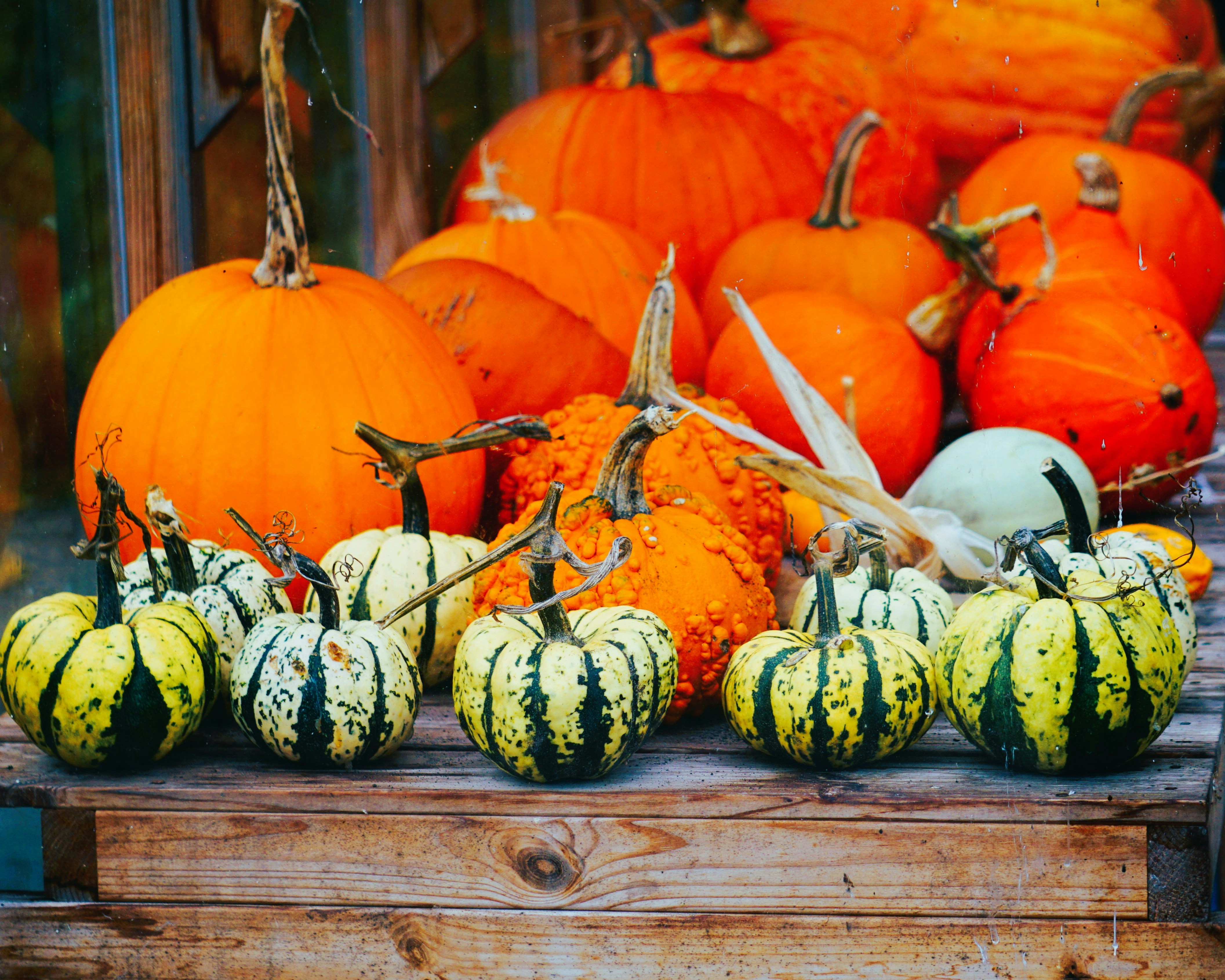 Pumpkins at the Wooden Stall: A Harvest Palette of Orange and Cream