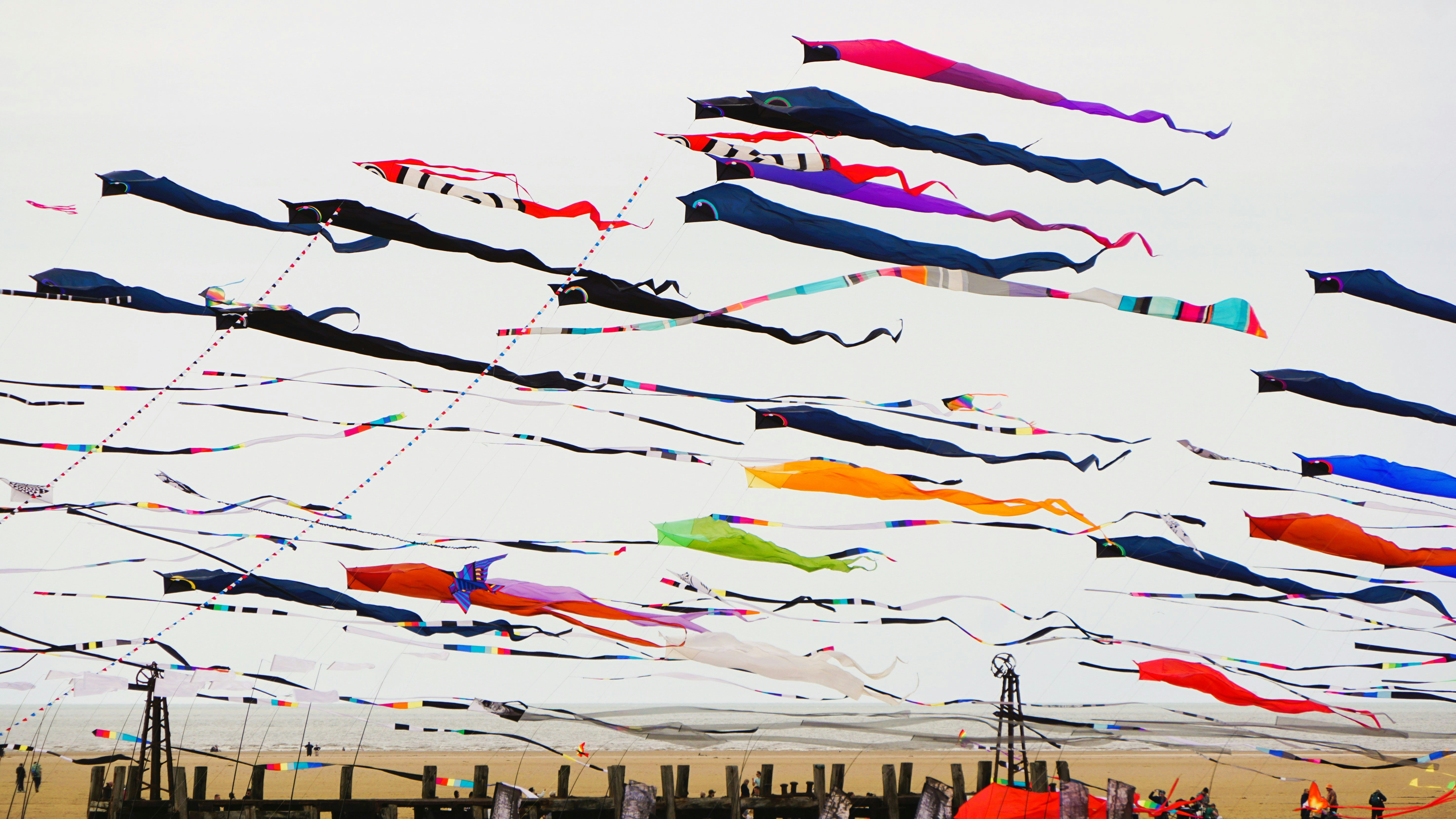 Kites in the Wind: A Seaside Display of Colorful Streamers