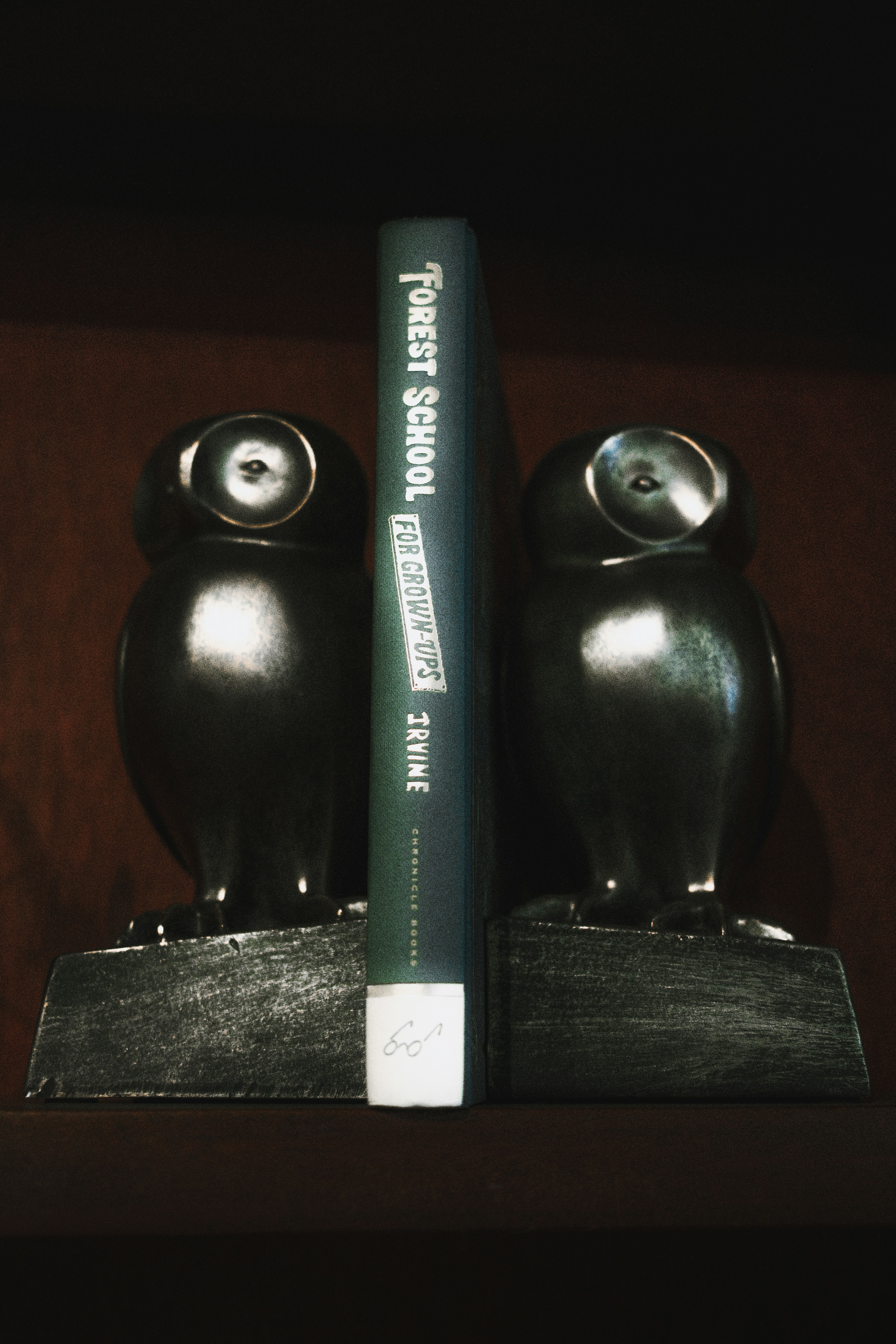 Midnight Shelf: A Book Between Owls