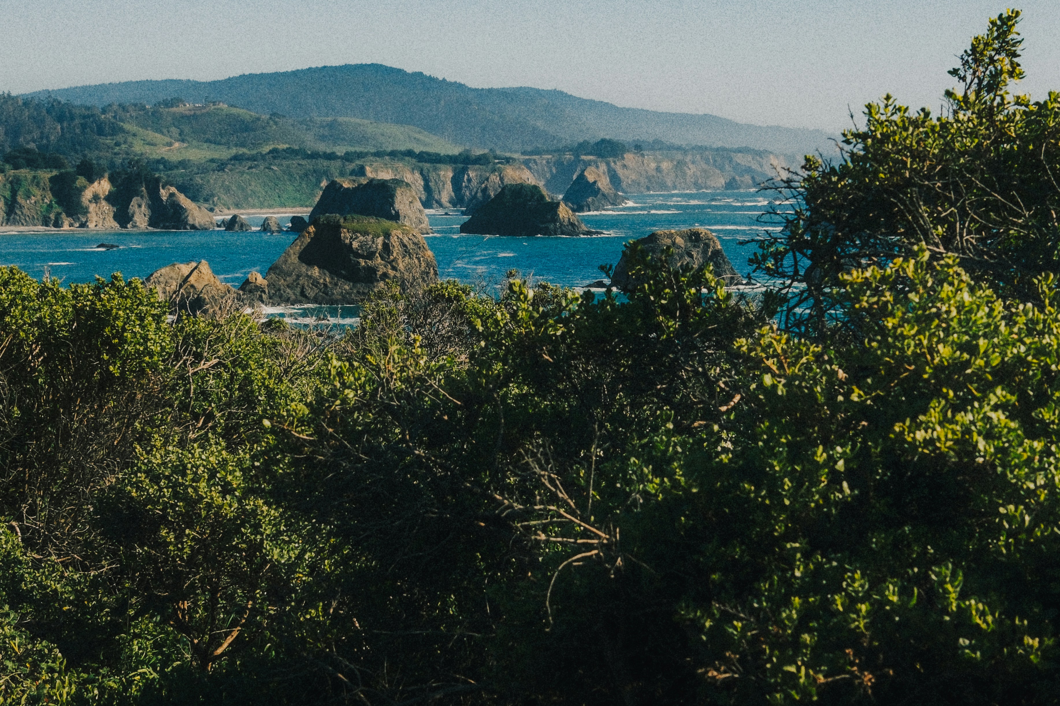 Photo by Kellen Riggin with Fujifilm X100VI