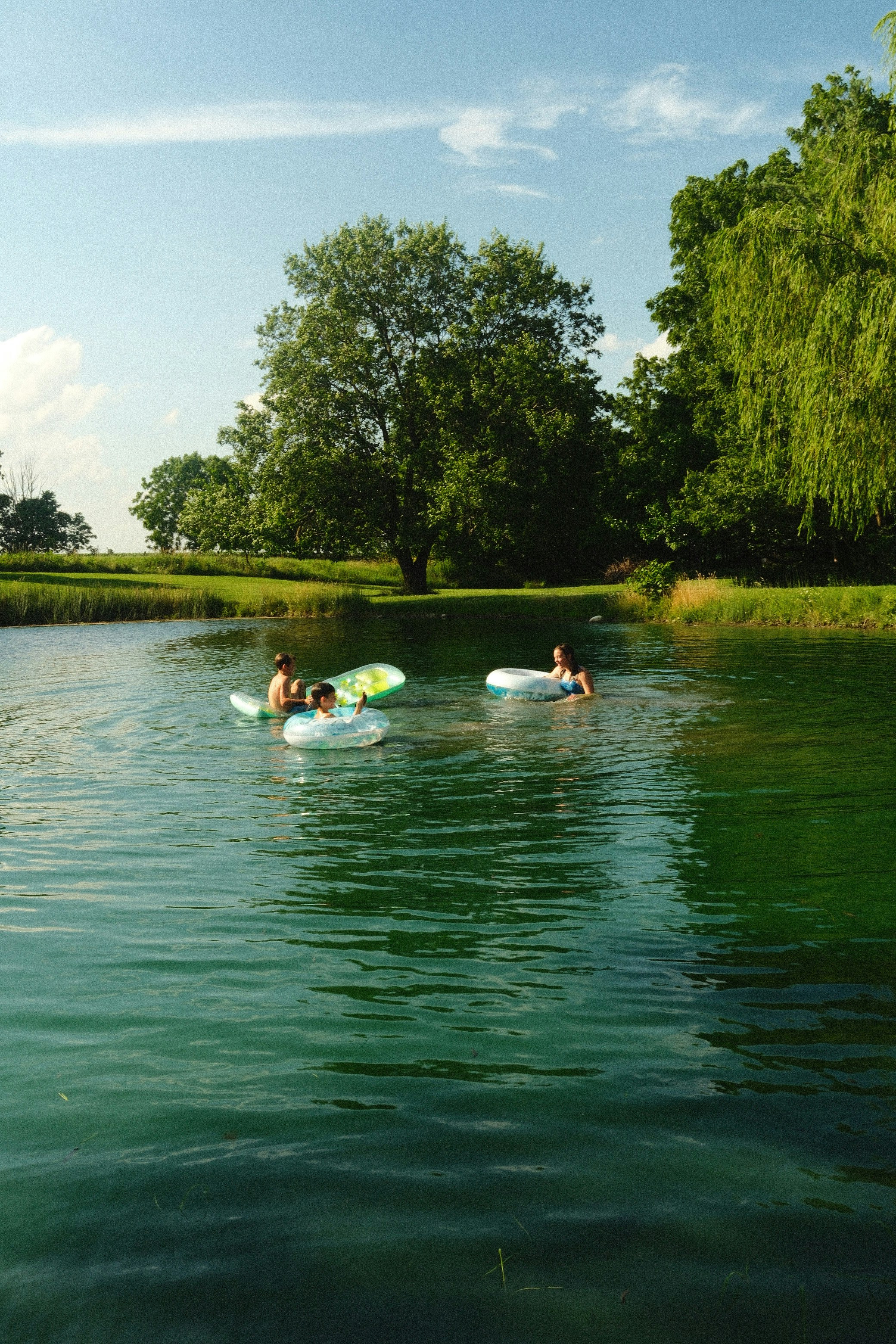 Three floaters drift on a sunlit park lake under a broad canopy