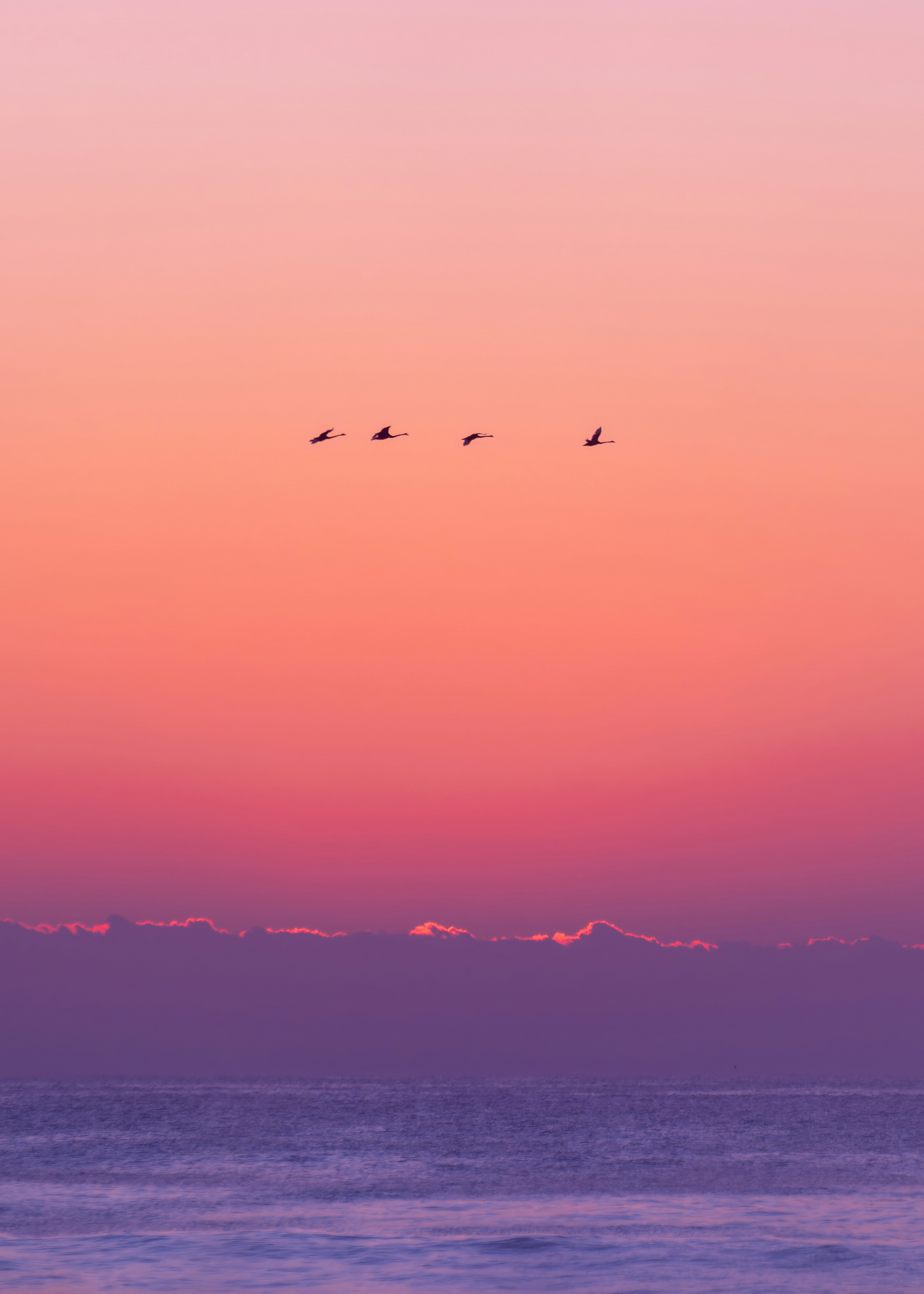 Flight of Five at Dusk: A Gradient Sky over Calm Seas