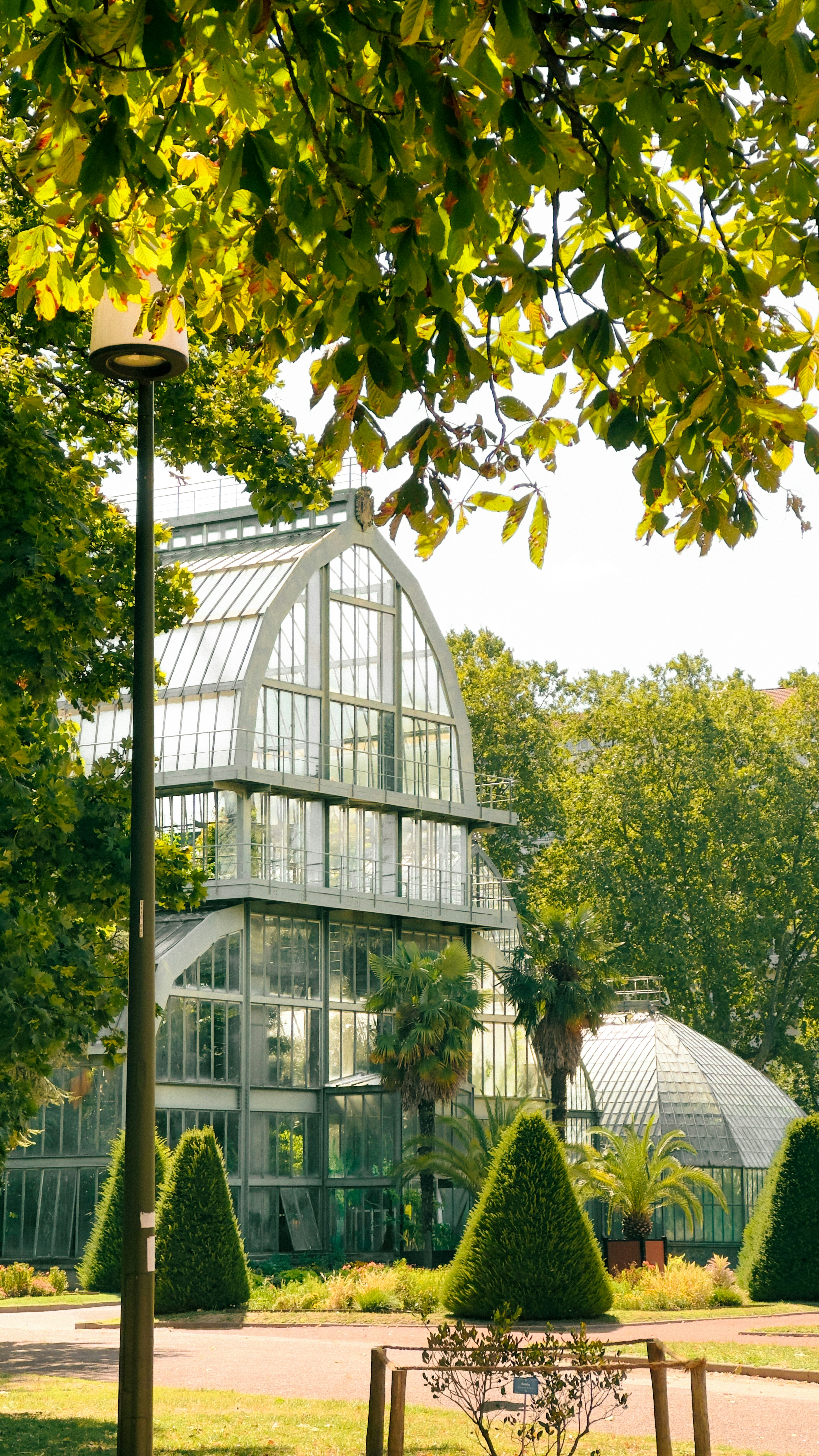 Glasshouse Twilight: Sunlit Conservatory Framed by Verdant Canopy
